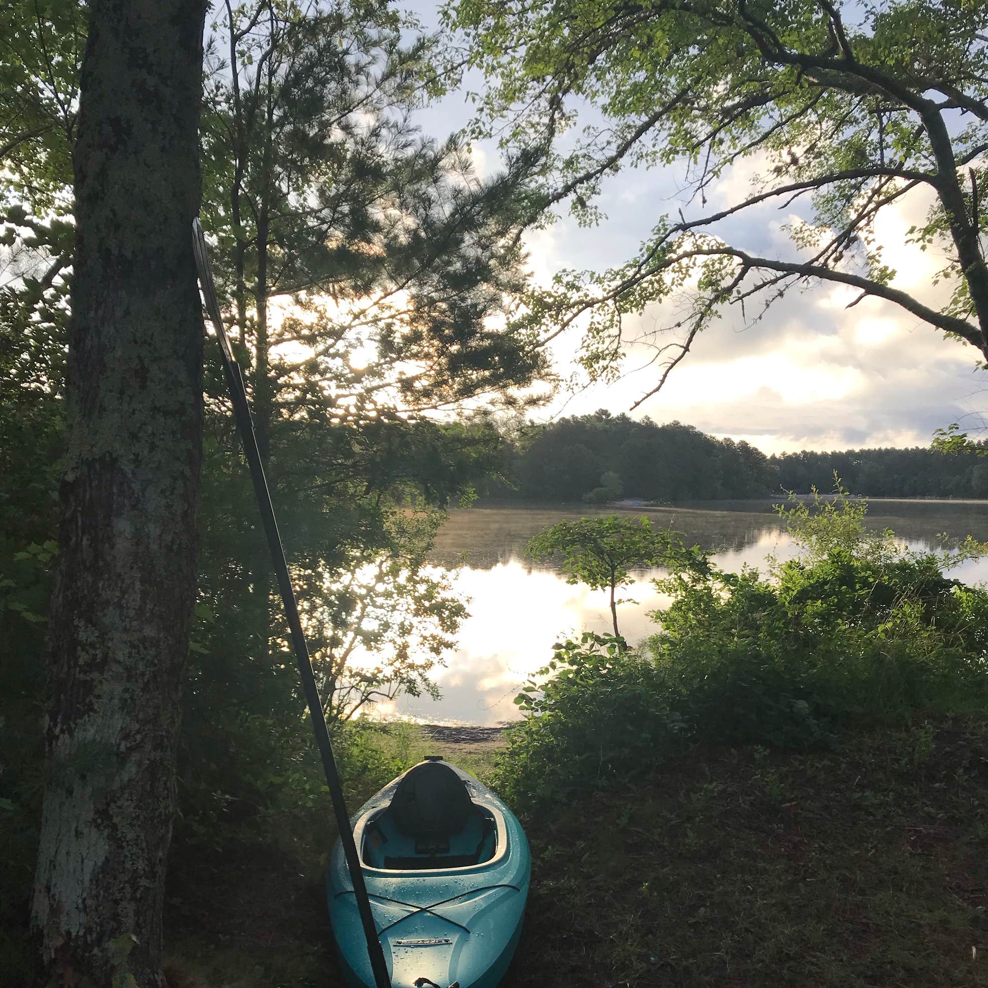 Curlew Pond Campground — Myles Standish State Forest | Carver ...