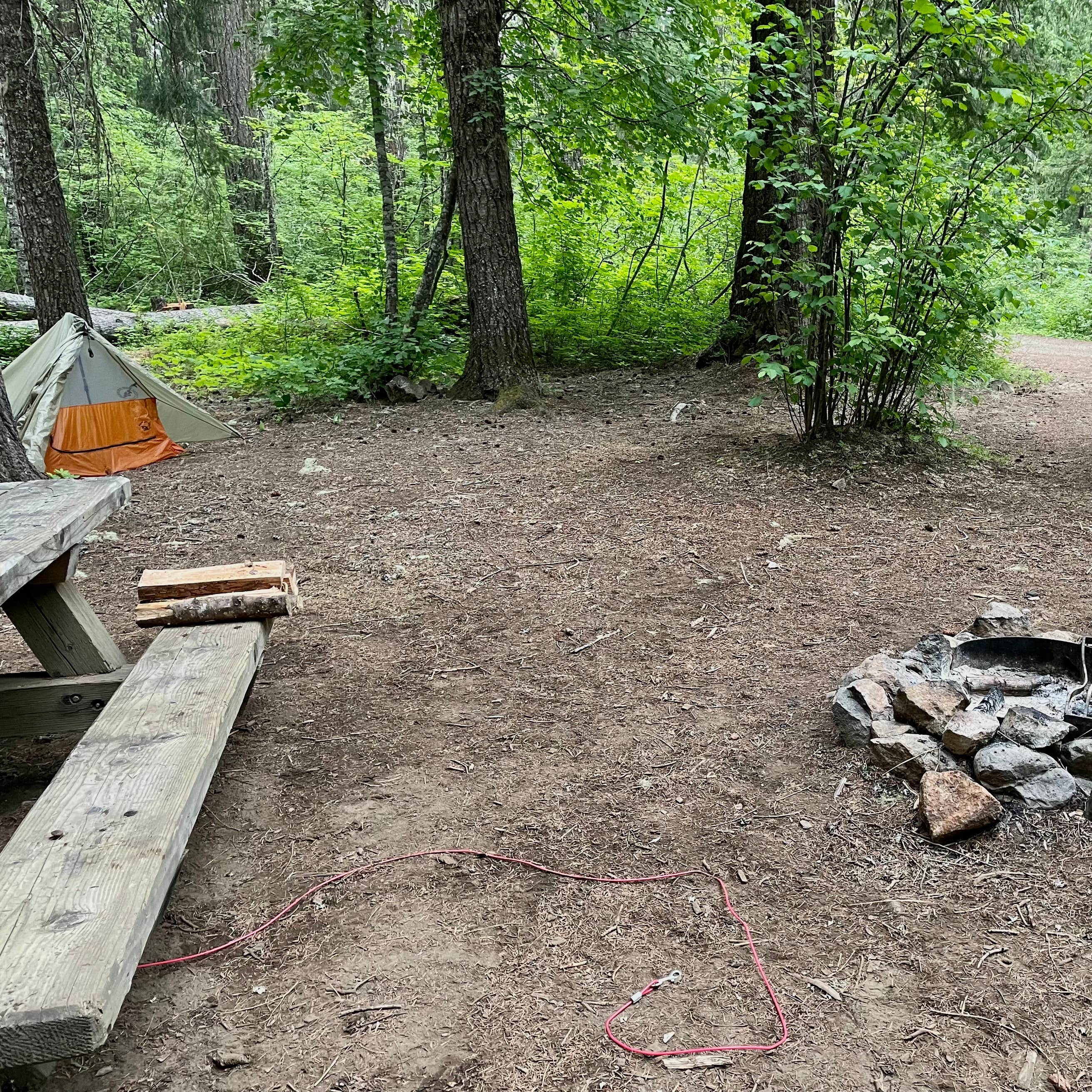 Gifford Pinchot National Forest Trout Lake Creek Campground | Trout ...