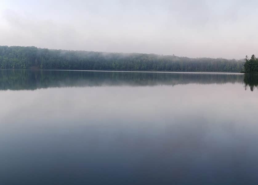 Tippy Dam State Recreation Area Camping | The Dyrt