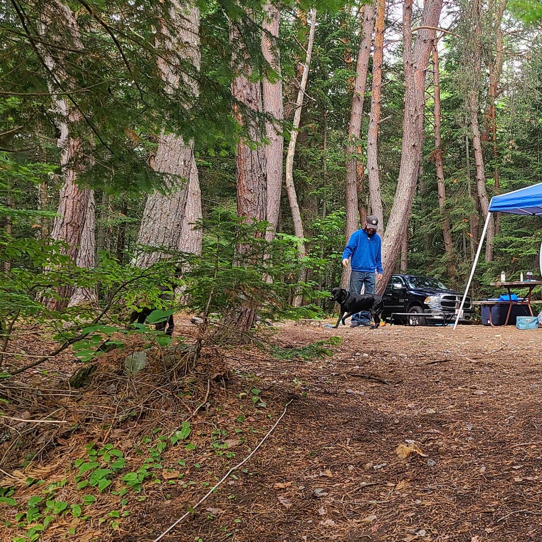 Cupsuptic Lake Park & Campground Camping | The Dyrt