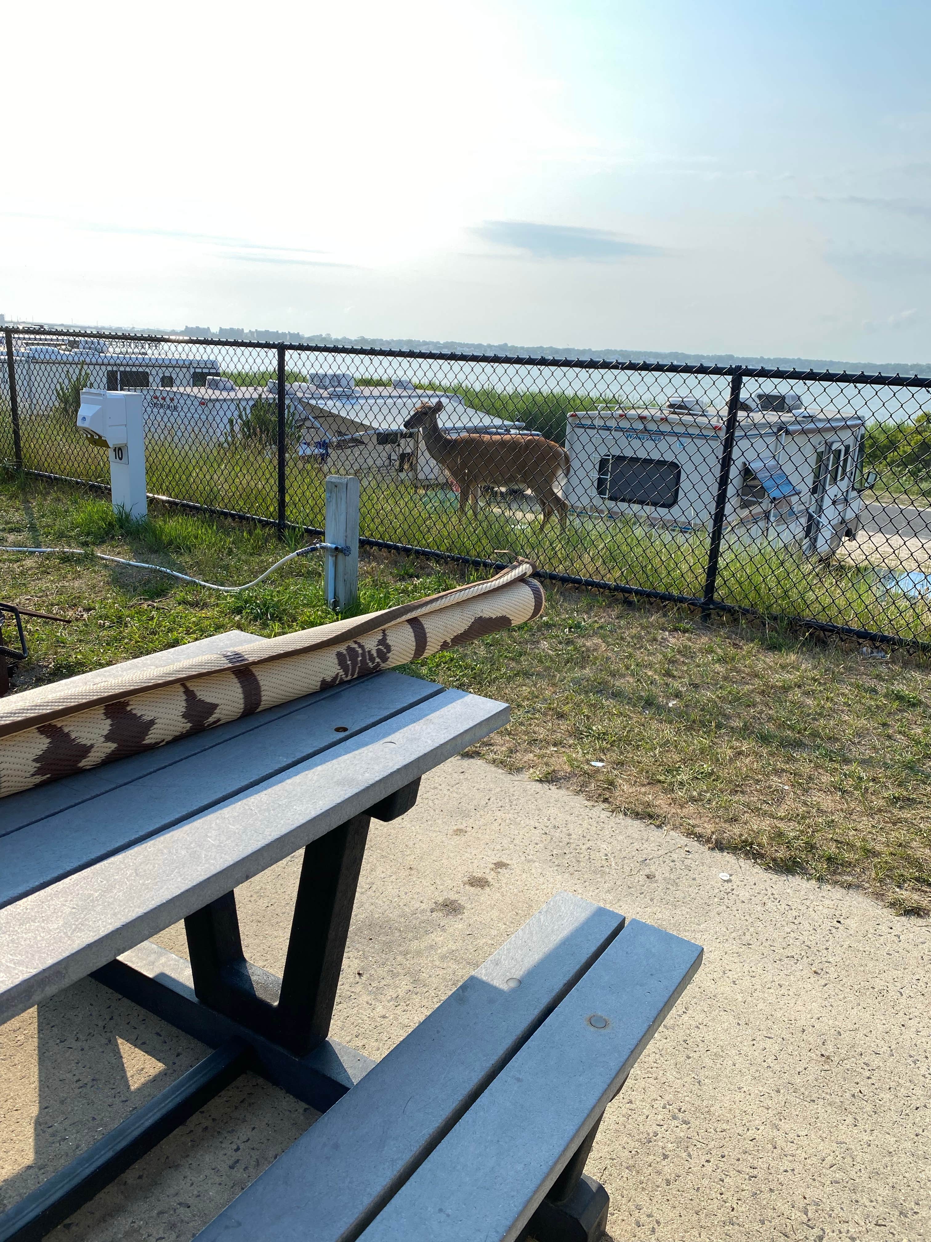 Smith Point (Suffolk County Park) | The Dyrt