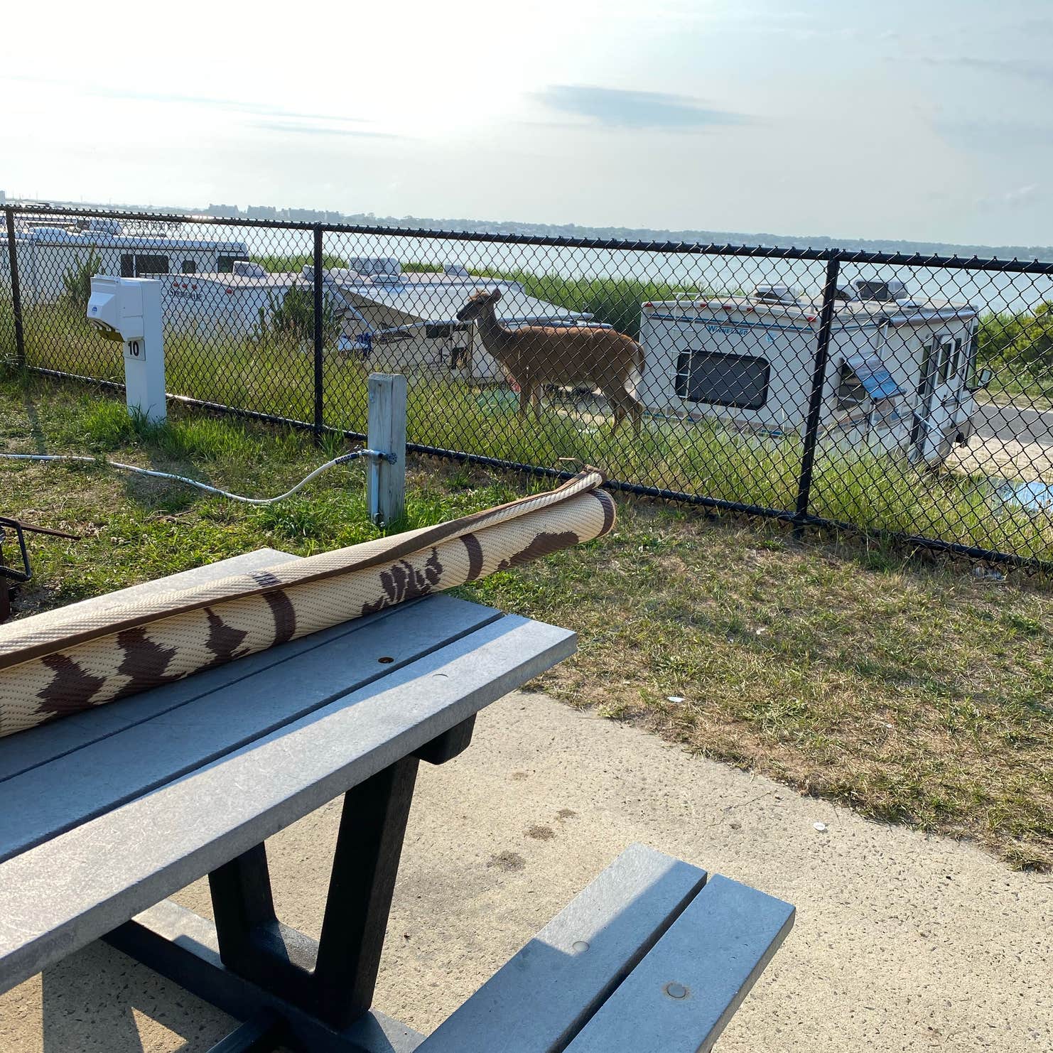 Smith Point County Park Camping | Shirley, NY