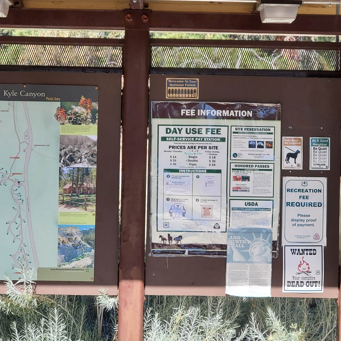 Kyle Canyon Campground | Mount Charleston, Nevada