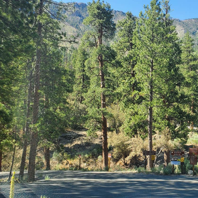 Kyle Canyon Campground | Mount Charleston, Nevada
