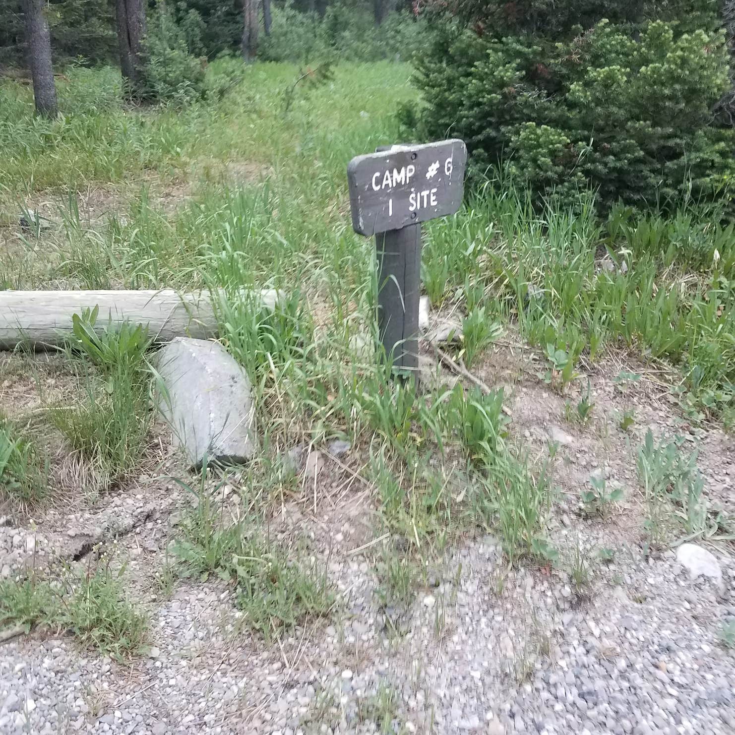 Ashton-Flagg Ranch Rd Dispersed Camping | The Dyrt