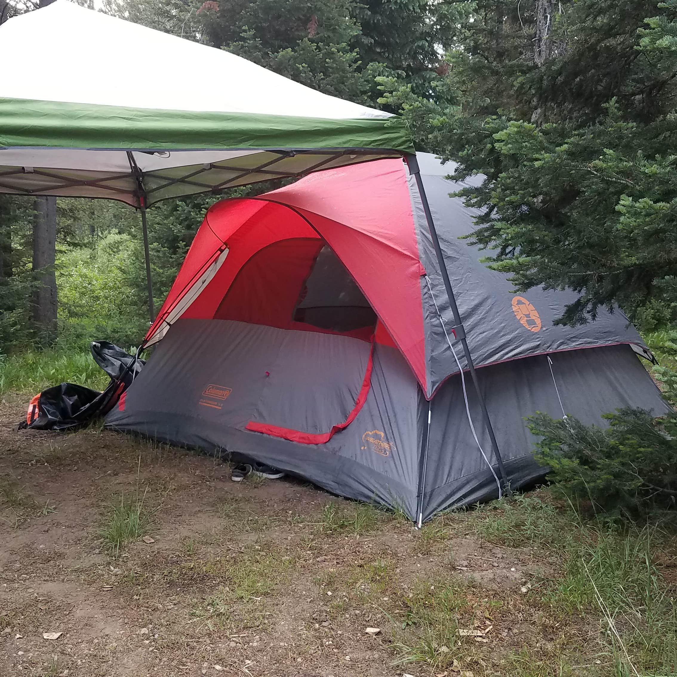 Ashton-Flagg Ranch Rd Dispersed Camping | The Dyrt