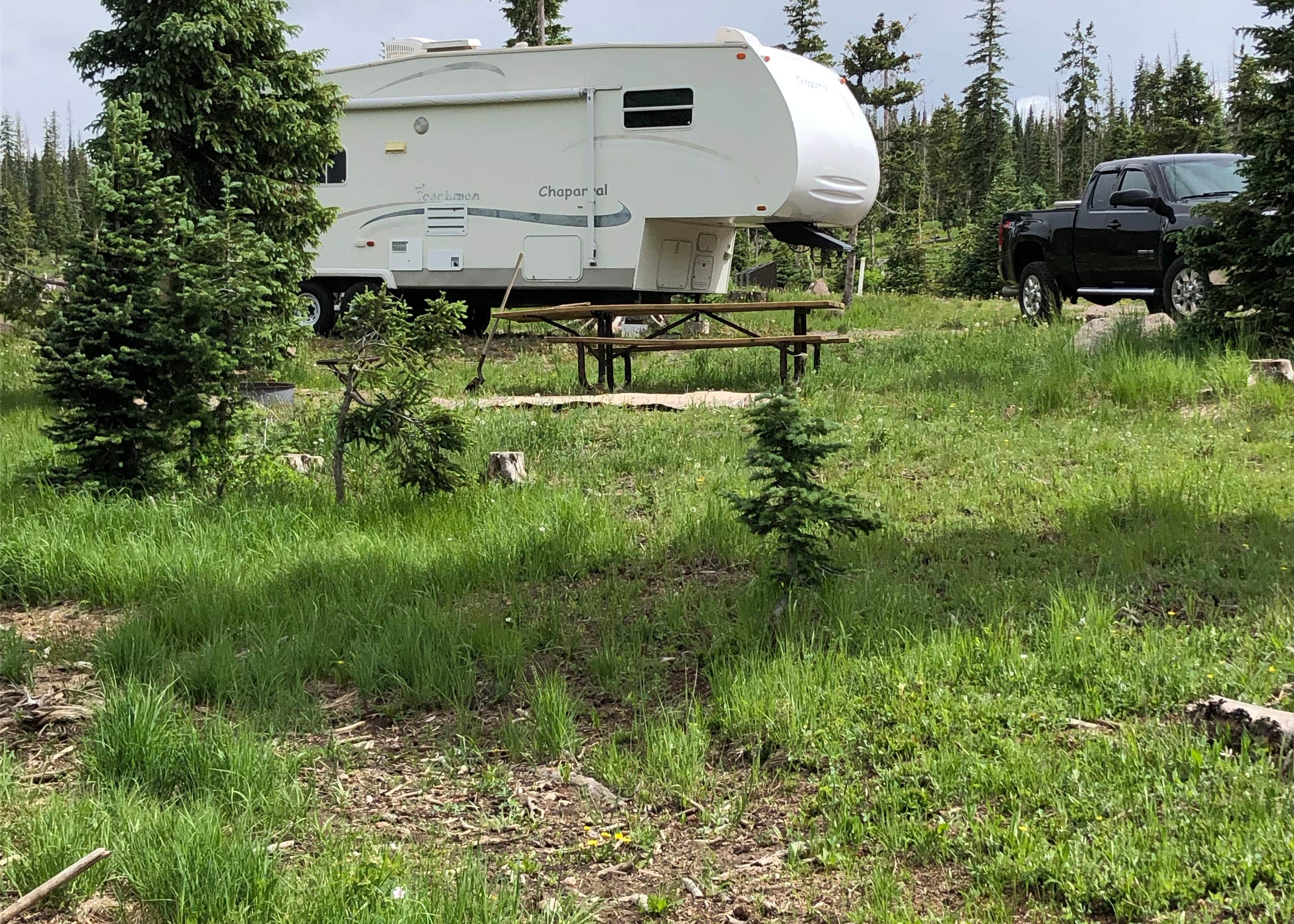Trujillo Meadows Camping The Dyrt