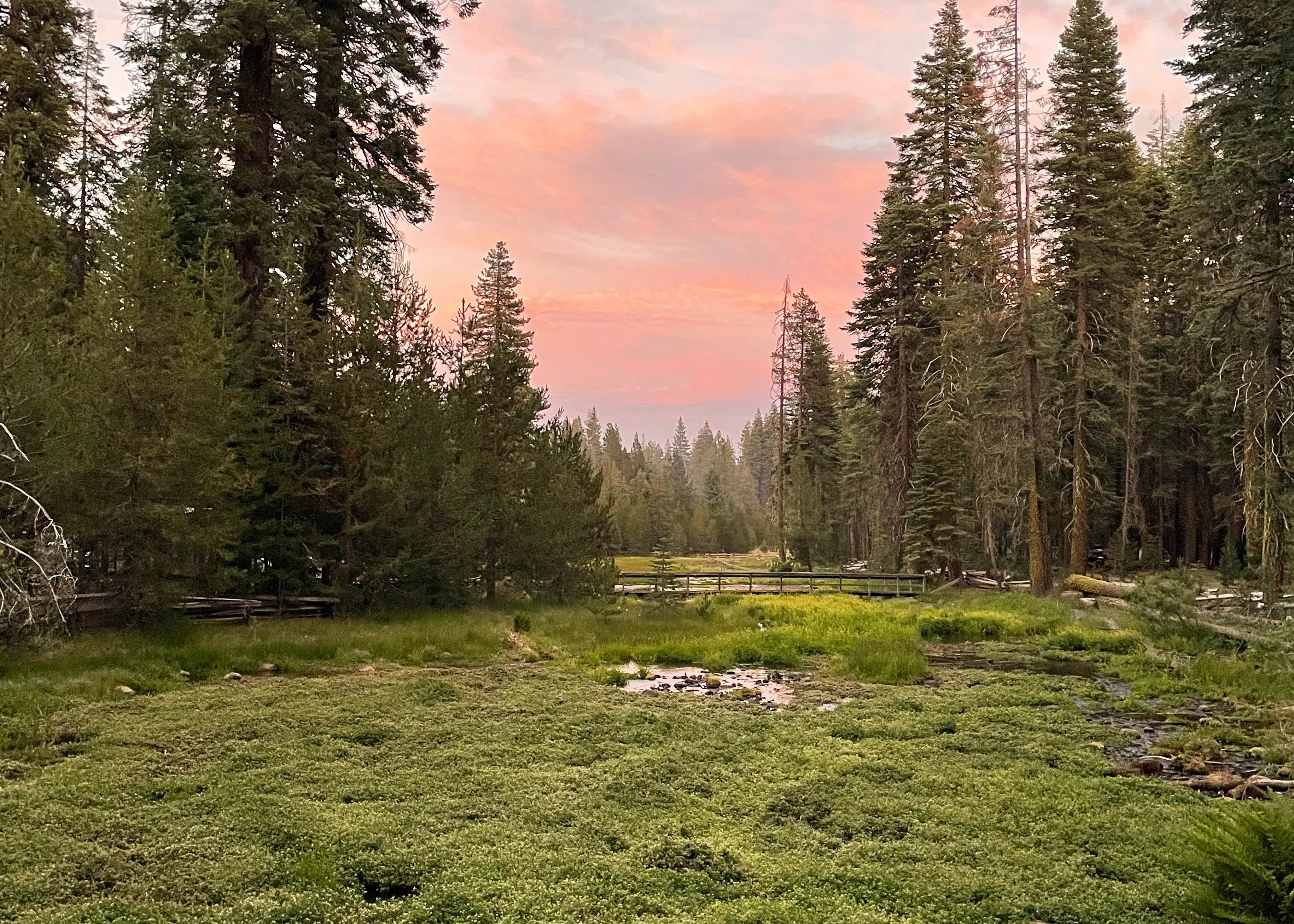 Domingo Springs Campground Camping | The Dyrt