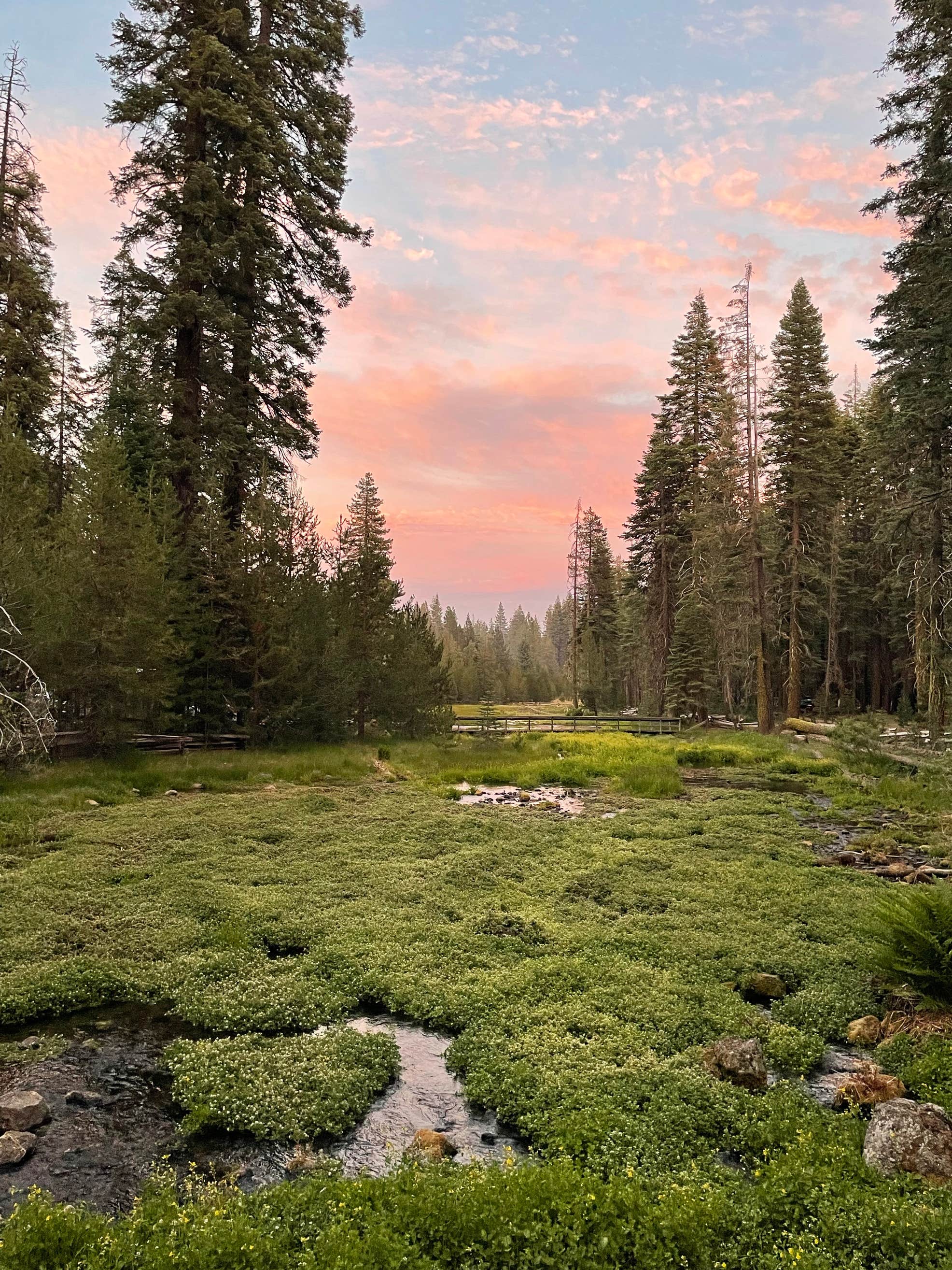 Domingo Springs Campground Camping | The Dyrt