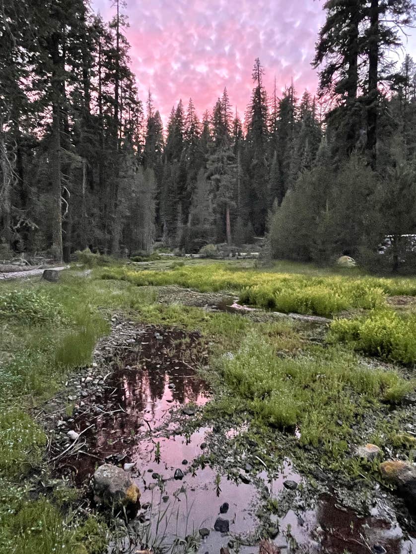 Domingo Springs Campground Camping | The Dyrt