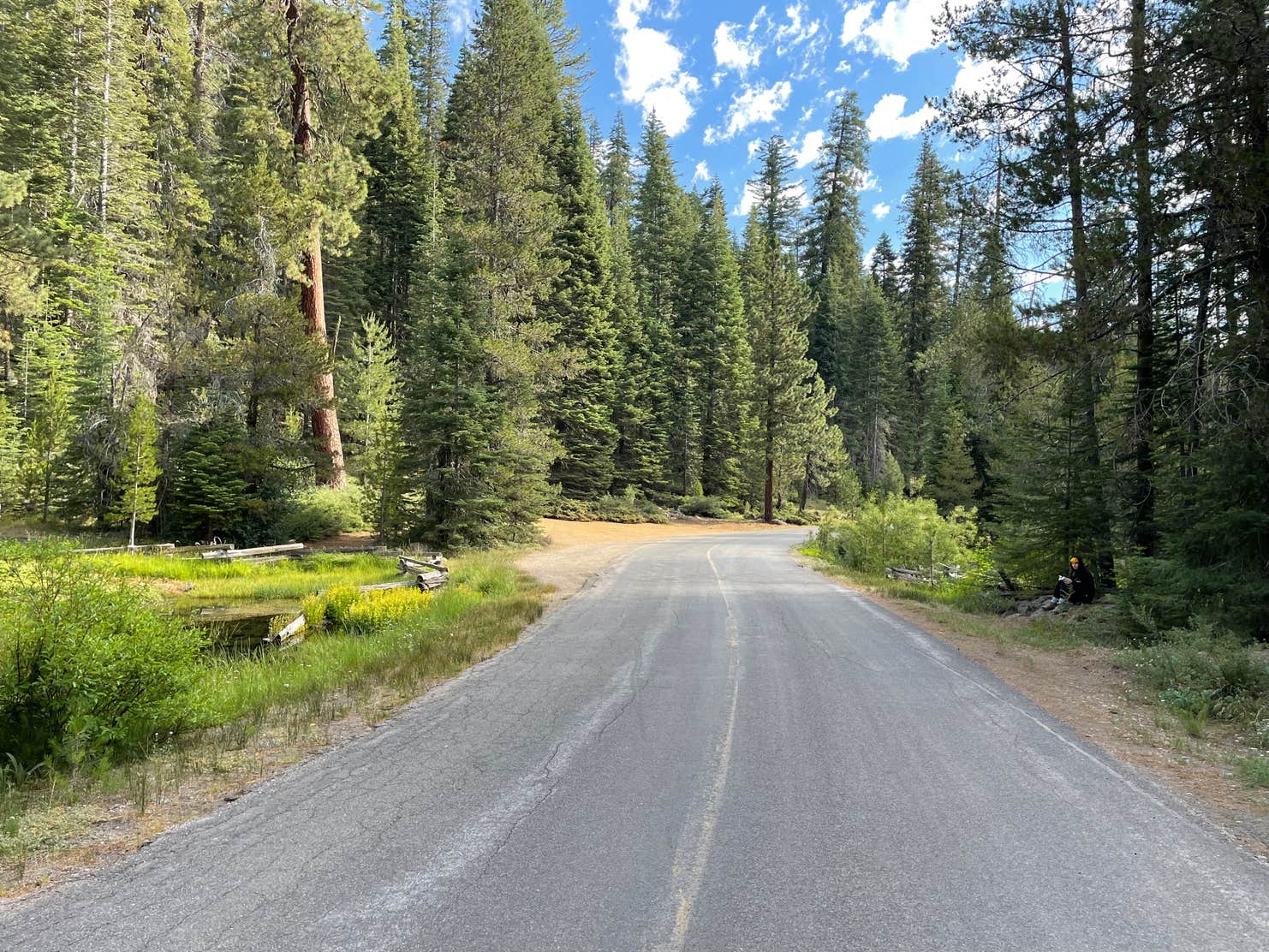 Domingo Springs Campground Camping | The Dyrt