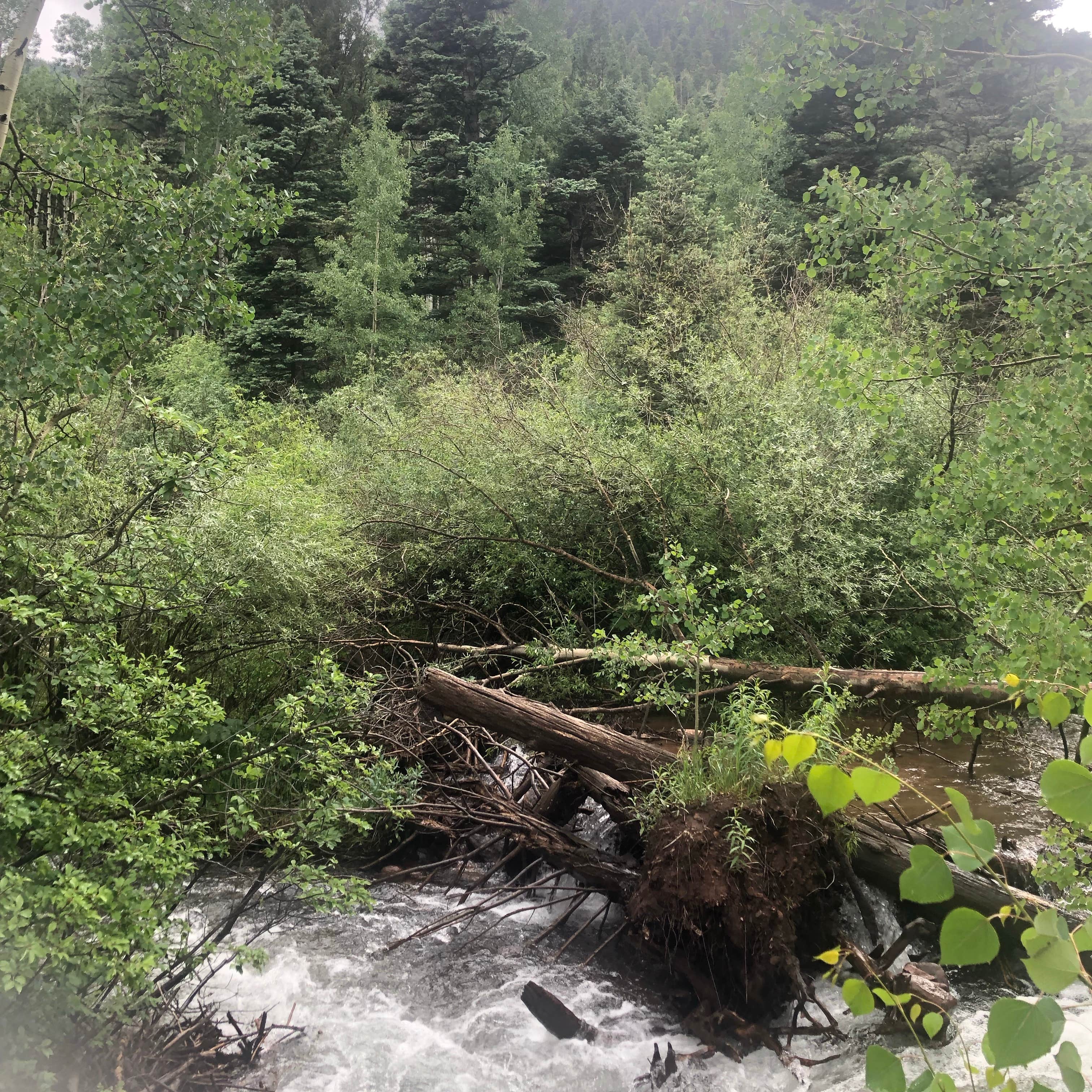 Monument Lake Resort Camping | Weston, Colorado