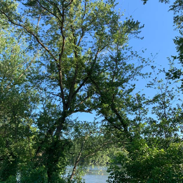 Brunswick Family Campground Camping | The Dyrt