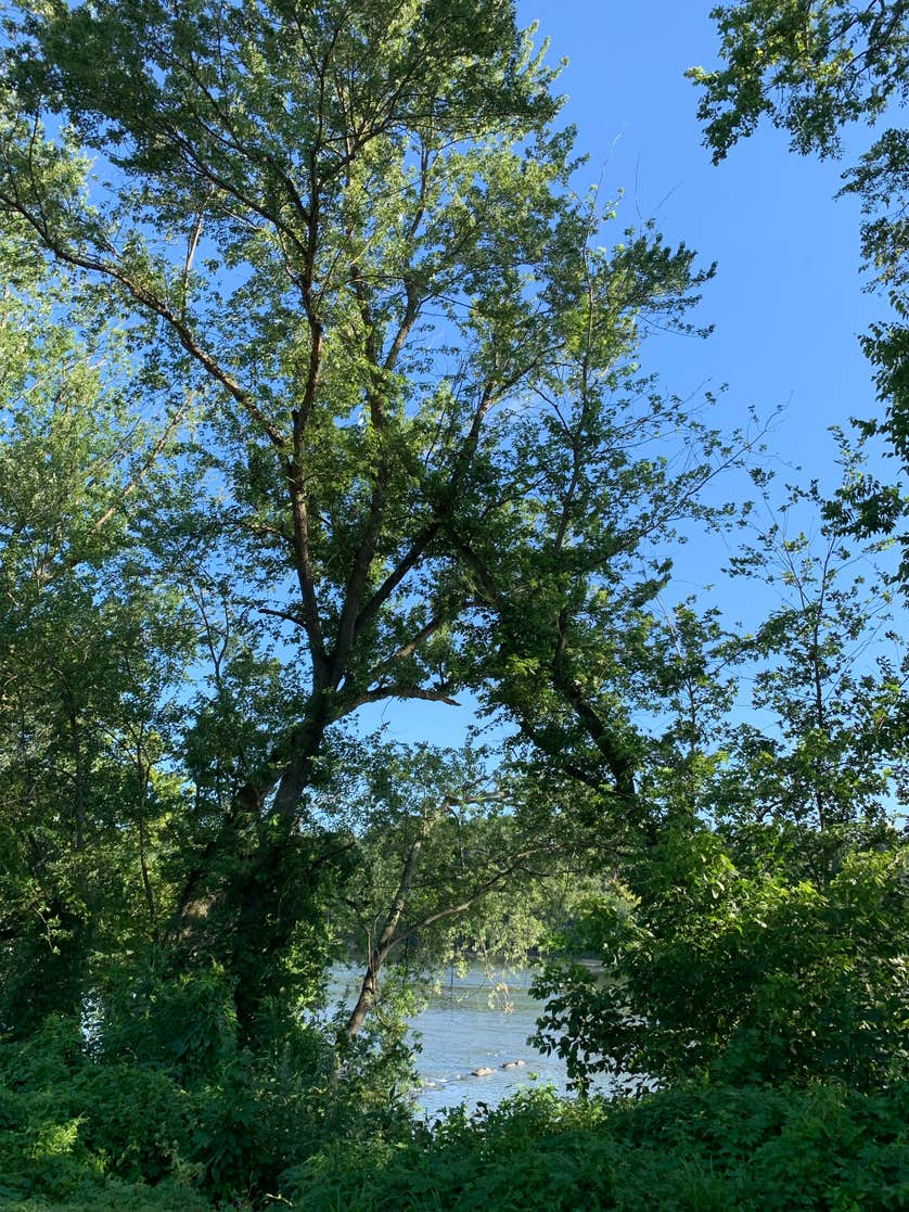 Brunswick Family Campground Camping | The Dyrt