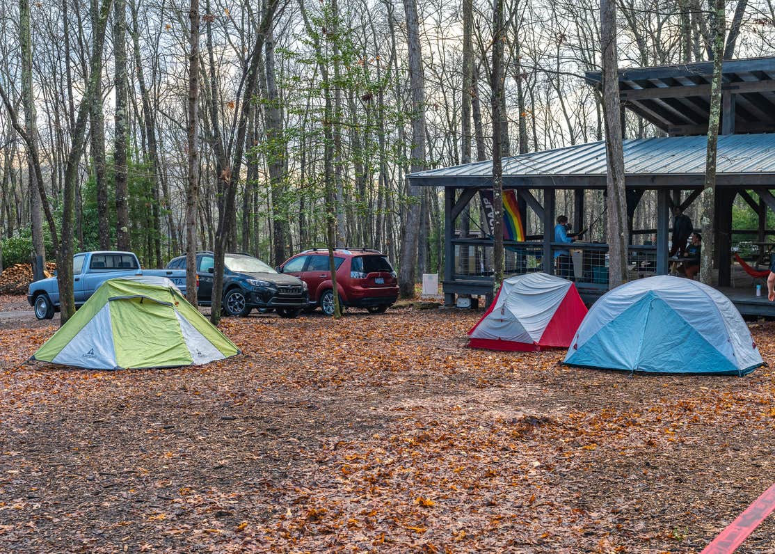 New River Gorge Campground - American Alpine Club Camping | The Dyrt