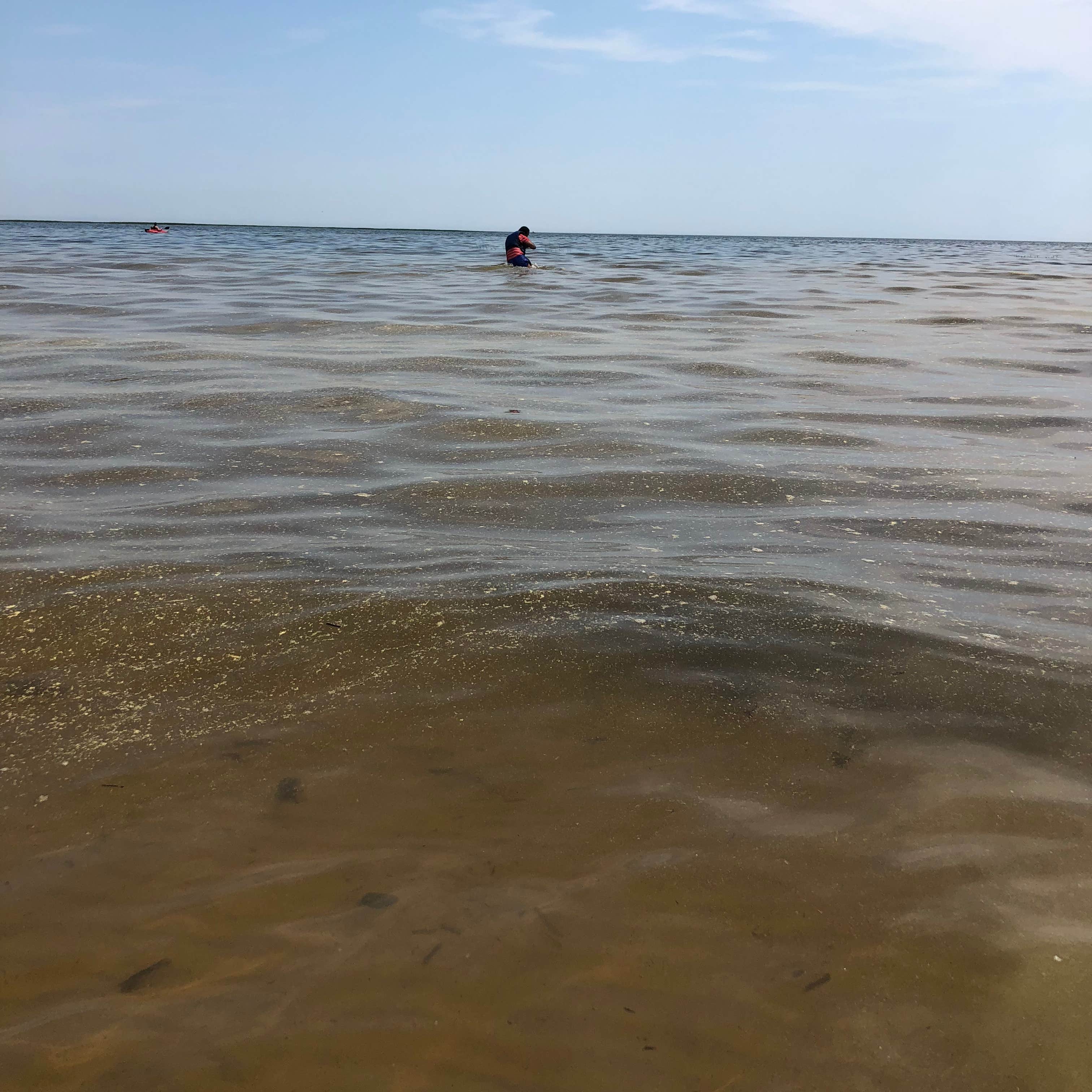 Pinconning County Park Camping | The Dyrt