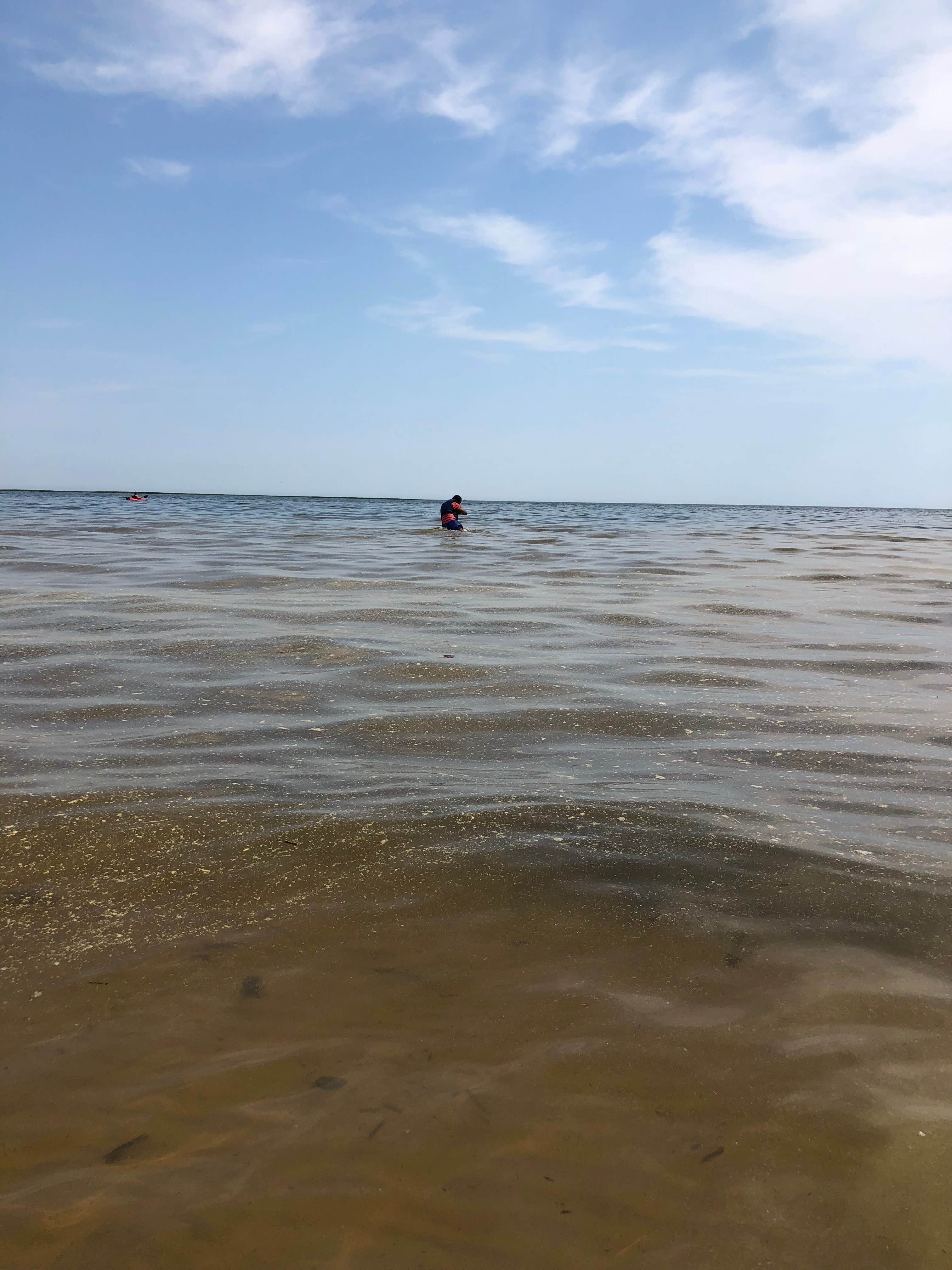 Pinconning County Park Camping | Pinconning, MI