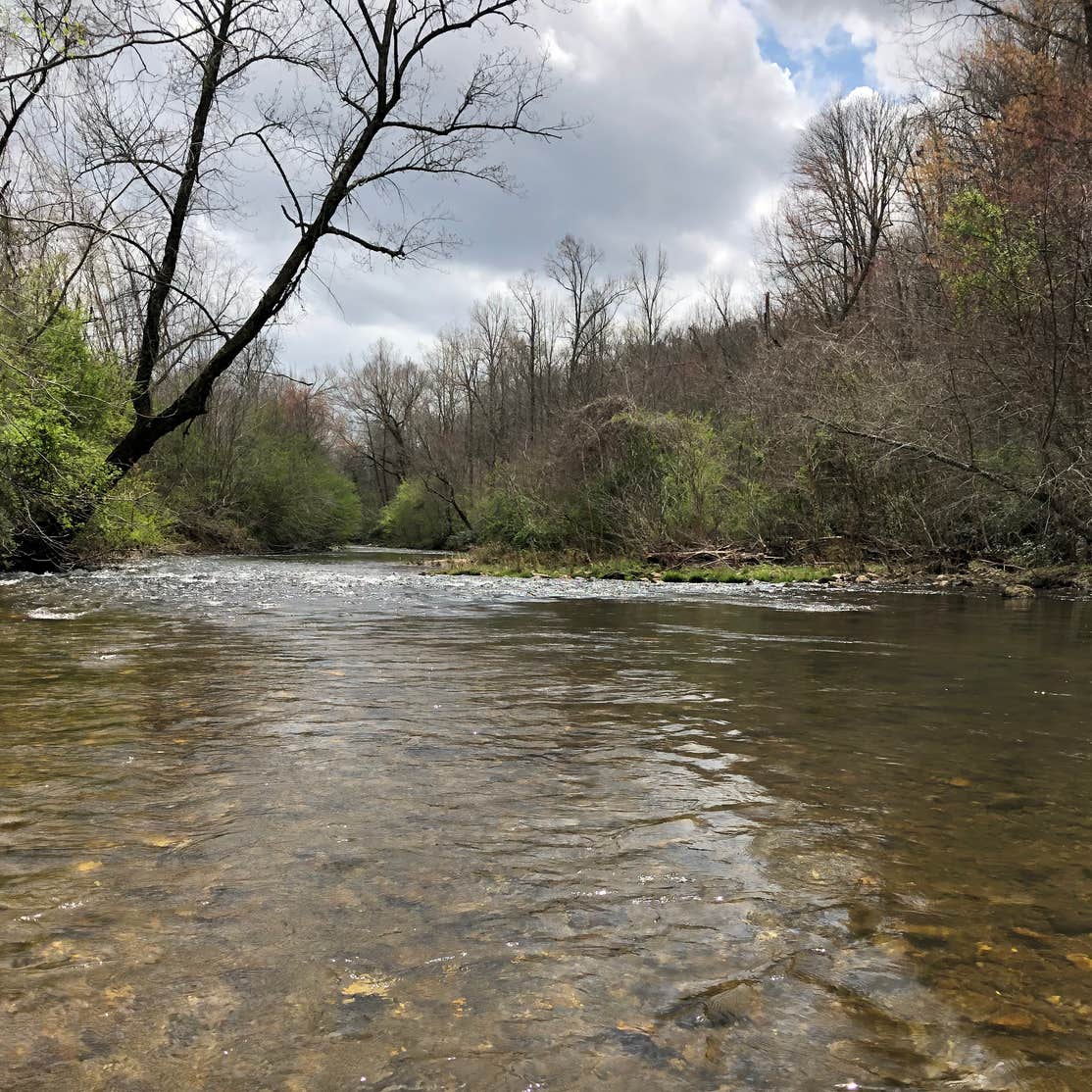 Toccoa River Sandy Bottoms Recreation Area Camping | The Dyrt