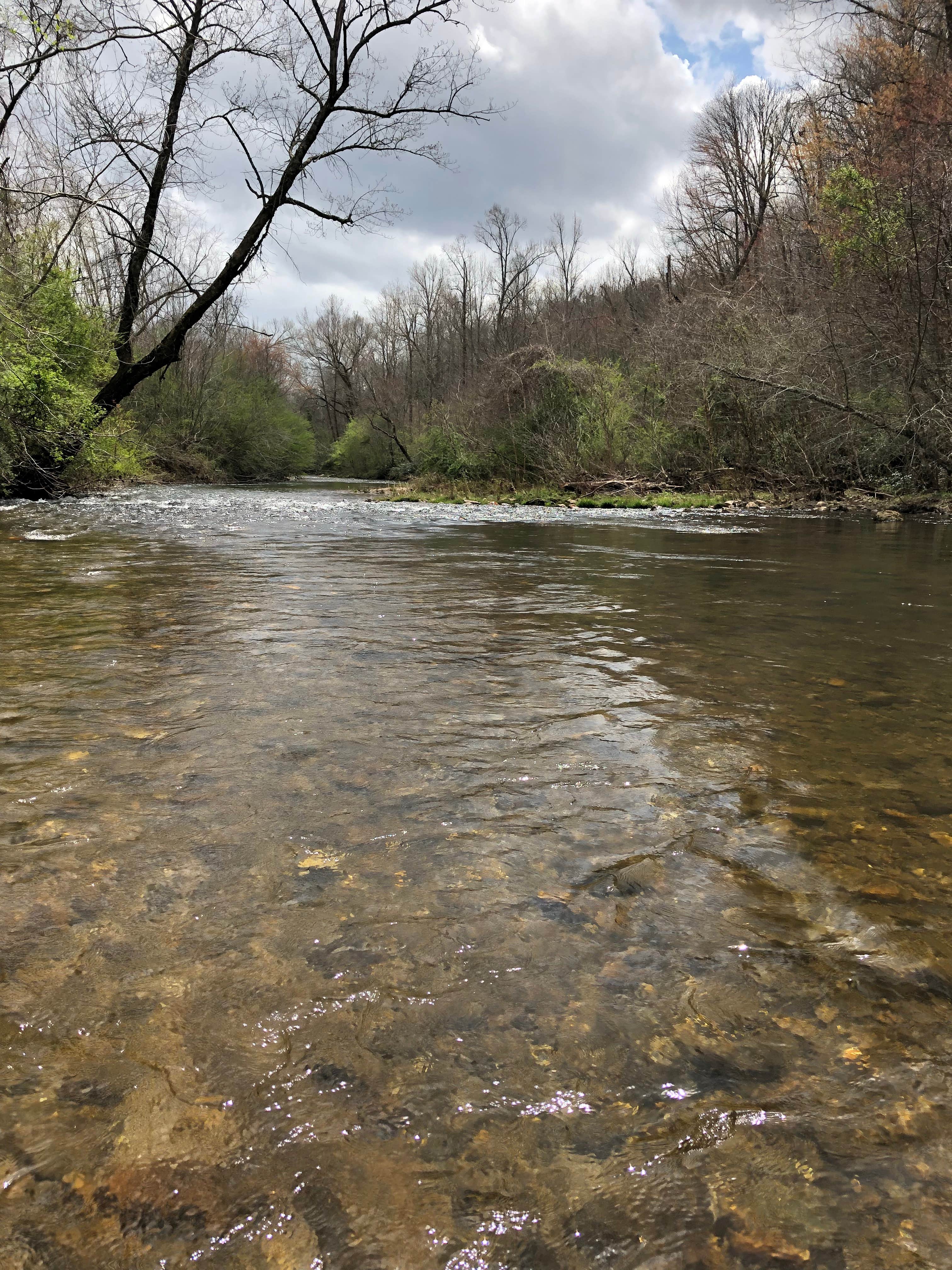 Toccoa River Sandy Bottoms Recreation Area Camping | Blue Ridge, GA