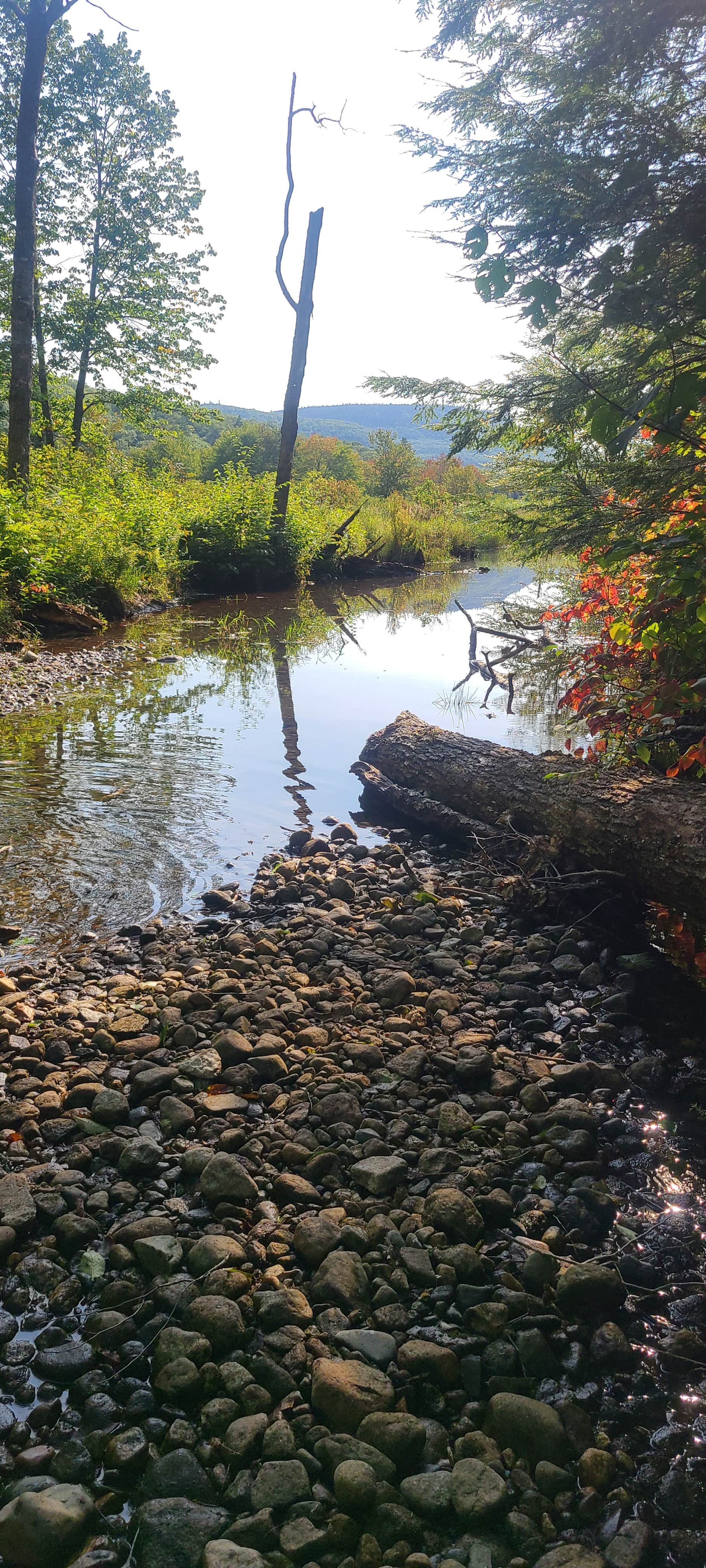 Basin Campground | The Dyrt