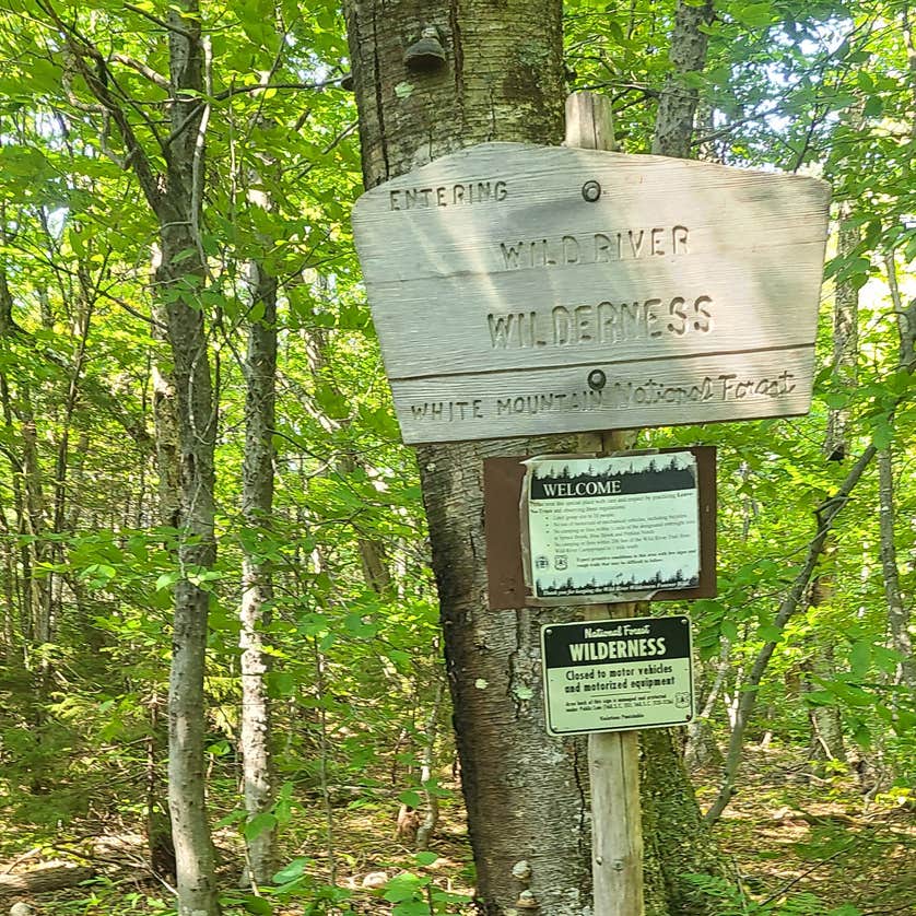 Basin Campground Camping | The Dyrt