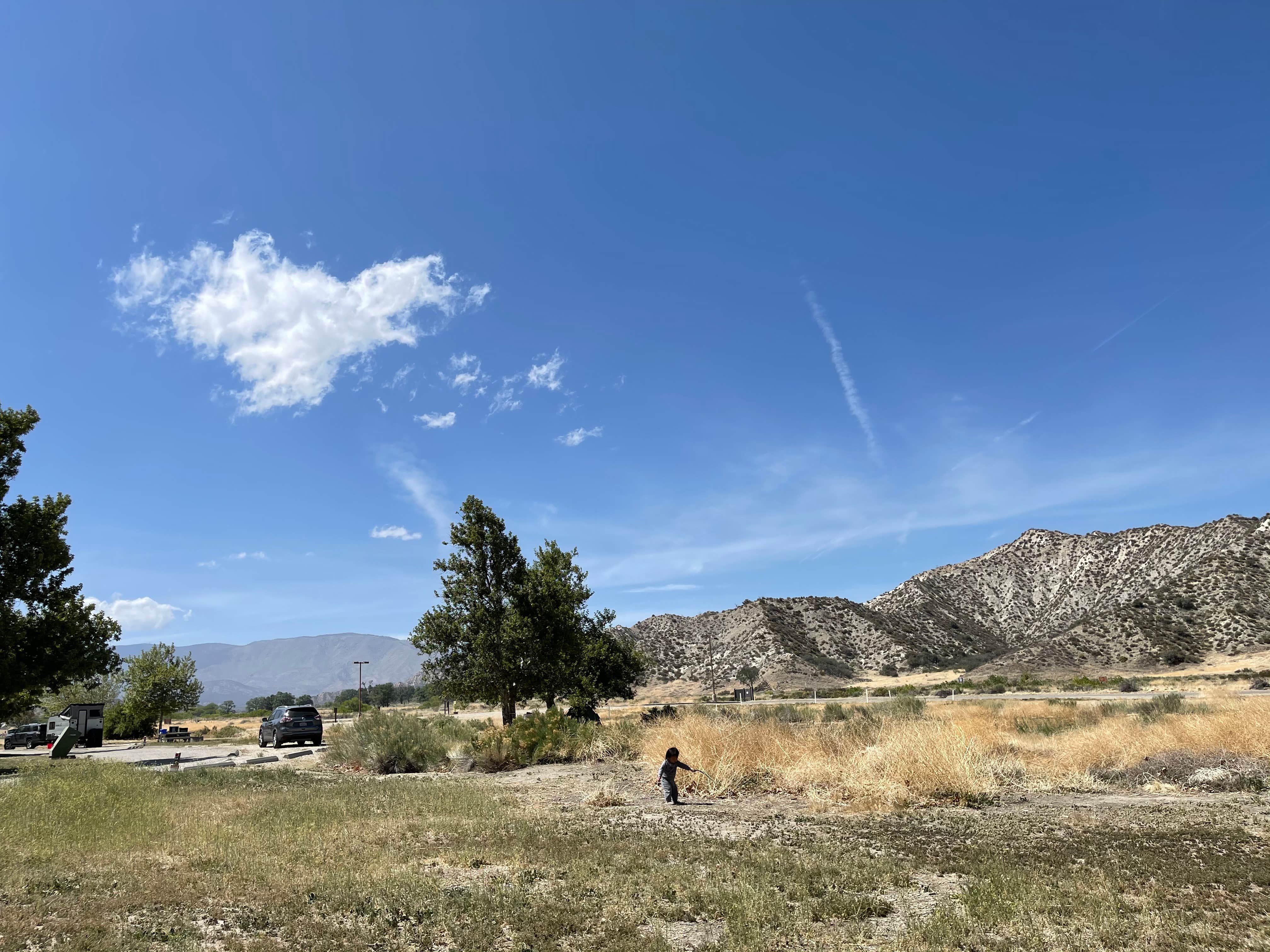 Los Alamos Campground at Pyramid Lake | The Dyrt