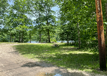 Sutton Falls Camping Area Camping | The Dyrt