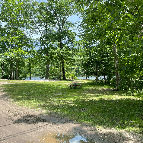 Sutton Falls Camping Area | Manchaug, Massachusetts