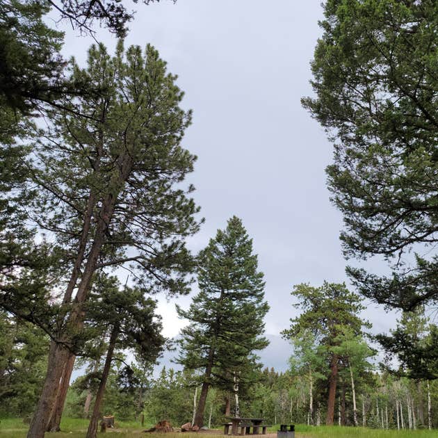 Springdale Campground | Woodland Park, CO