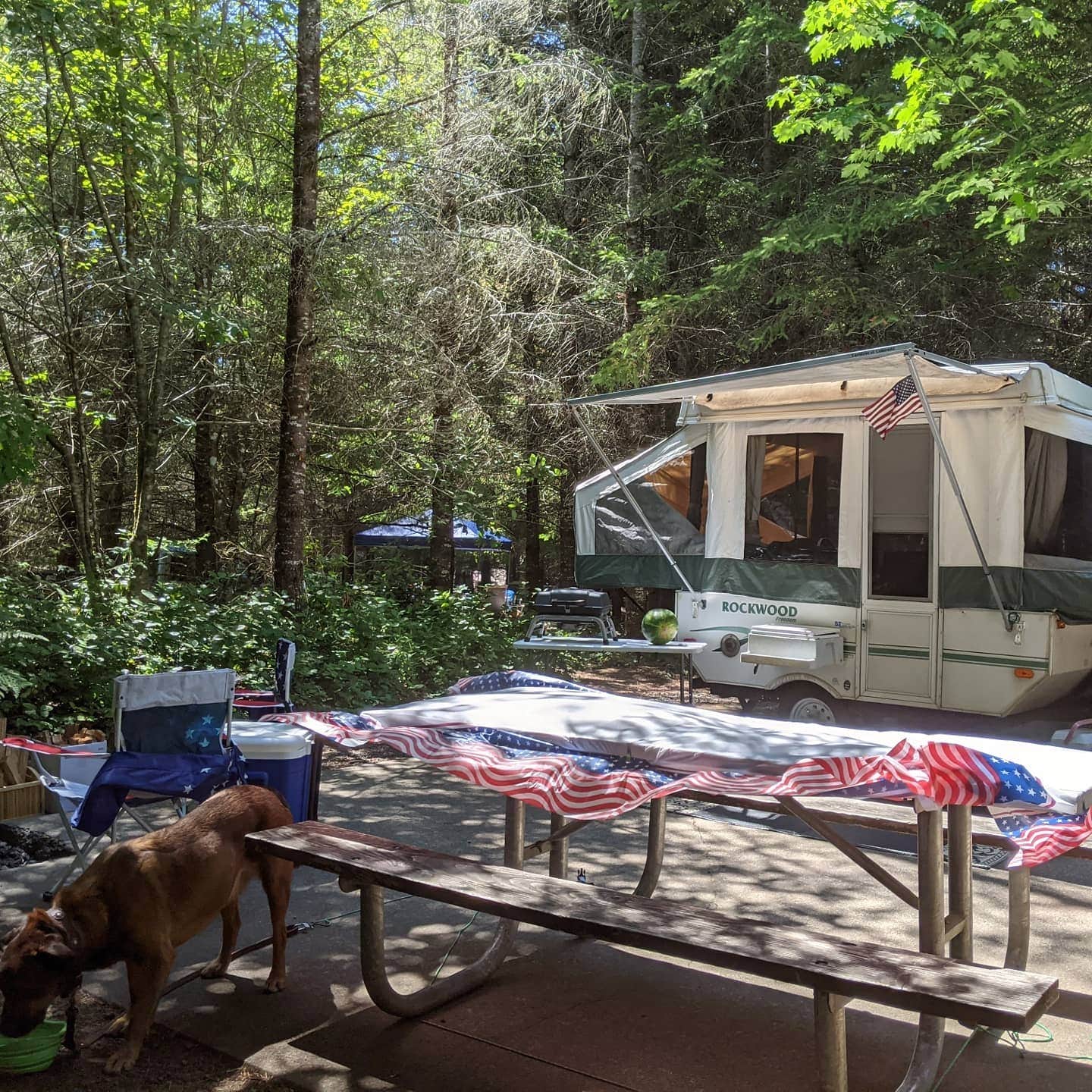 River Bend County Park Camping | Foster, OR