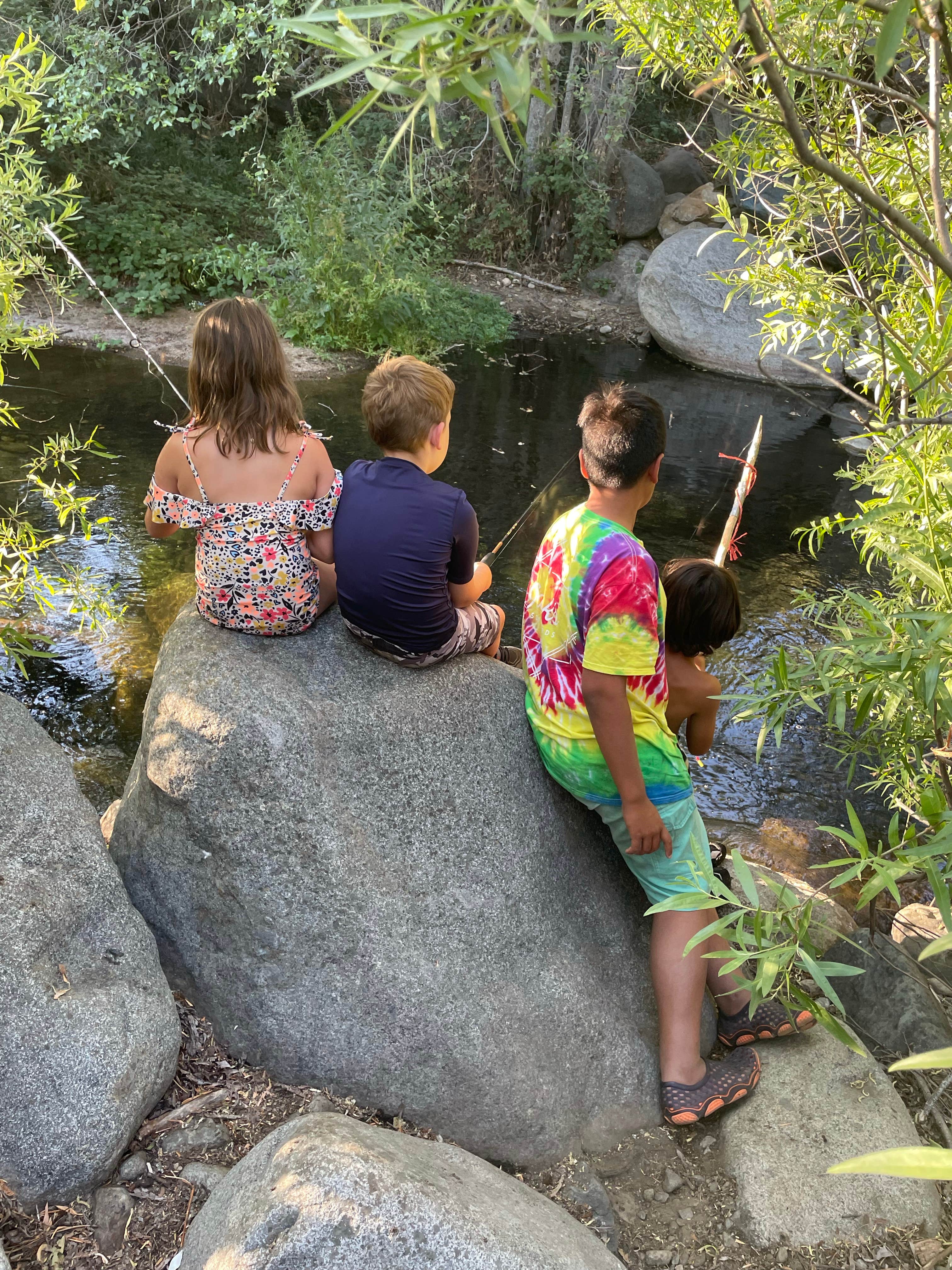Wishon Campground | Camp Nelson, California