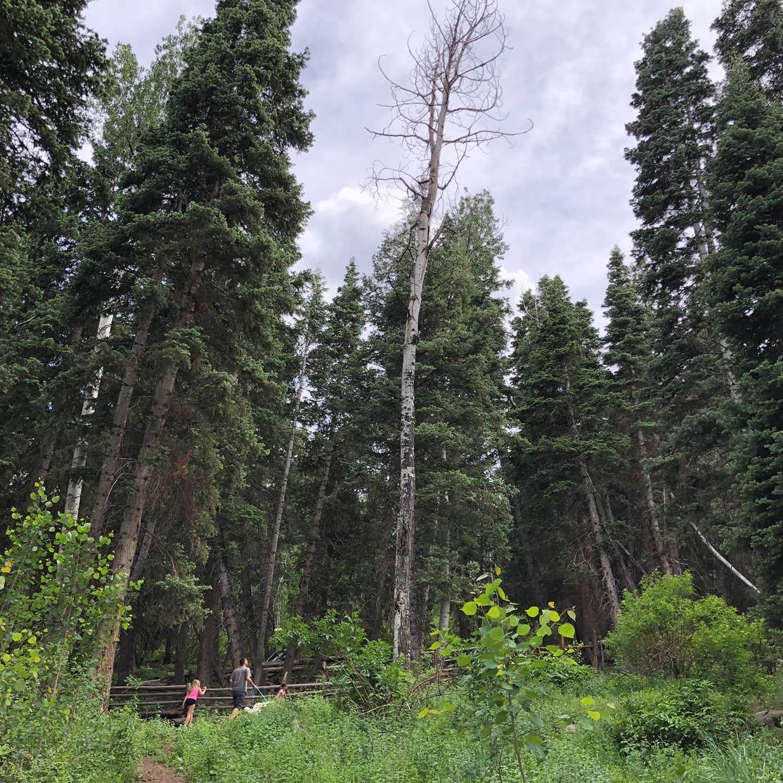 Payson Lakes Camping | Elk Ridge, Utah