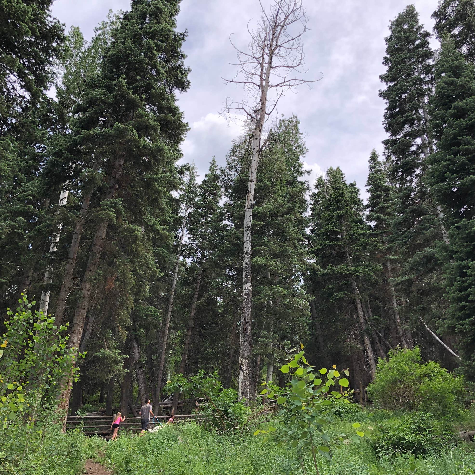 Payson Lakes Camping | Elk Ridge, Utah