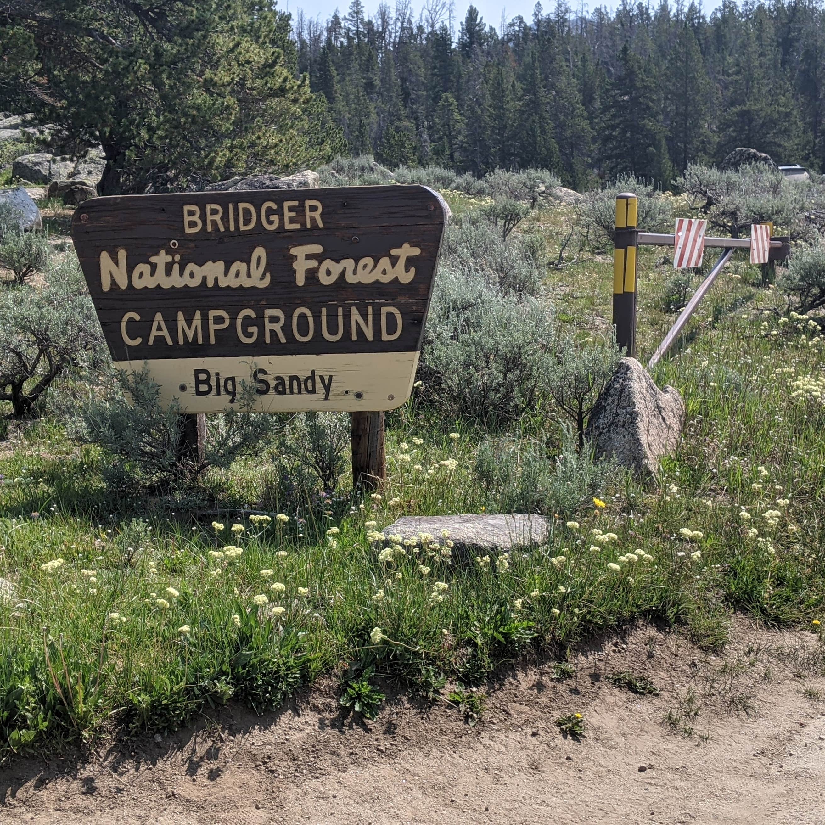 Big Sandy Campground — Bridger Teton National Forest | Boulder, Wyoming