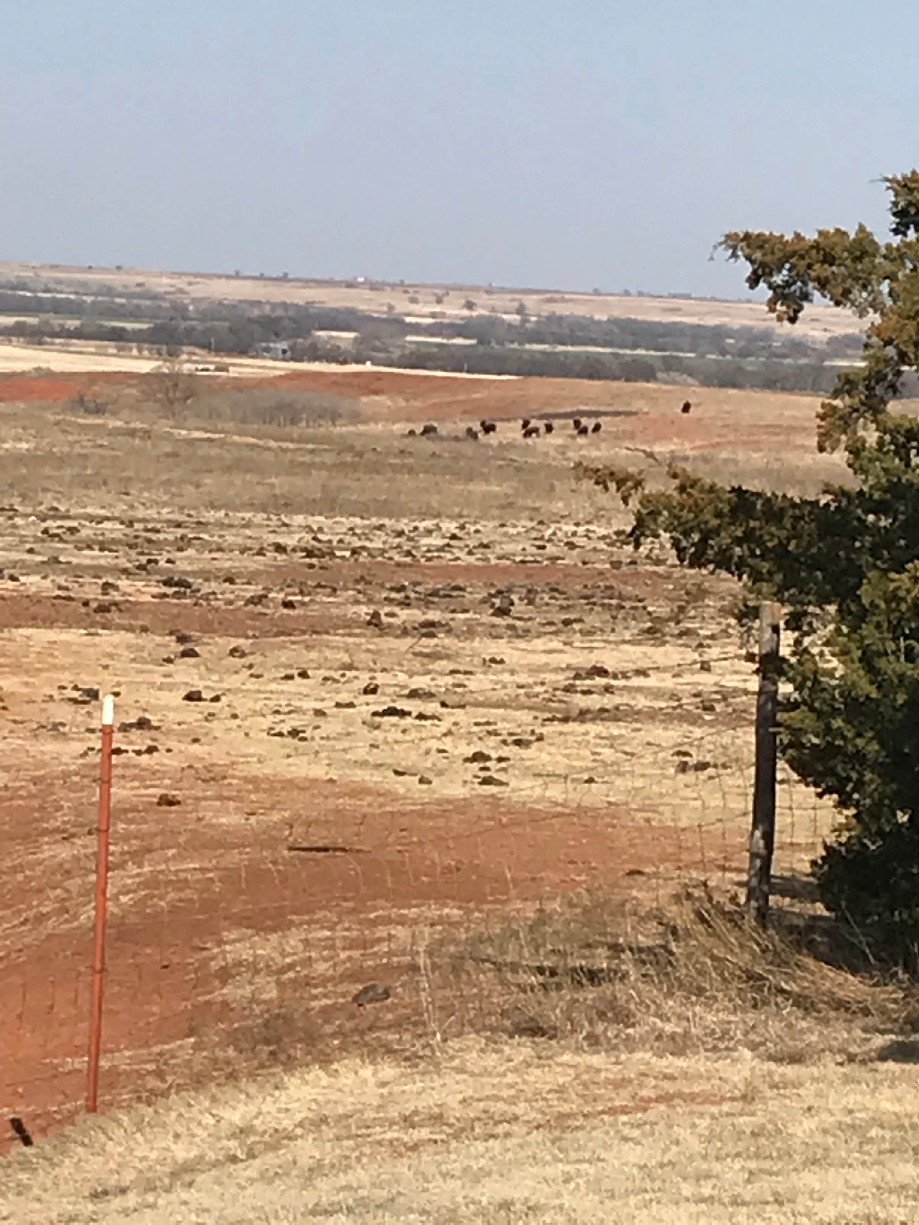Foss State Park Campground | Foss, Oklahoma