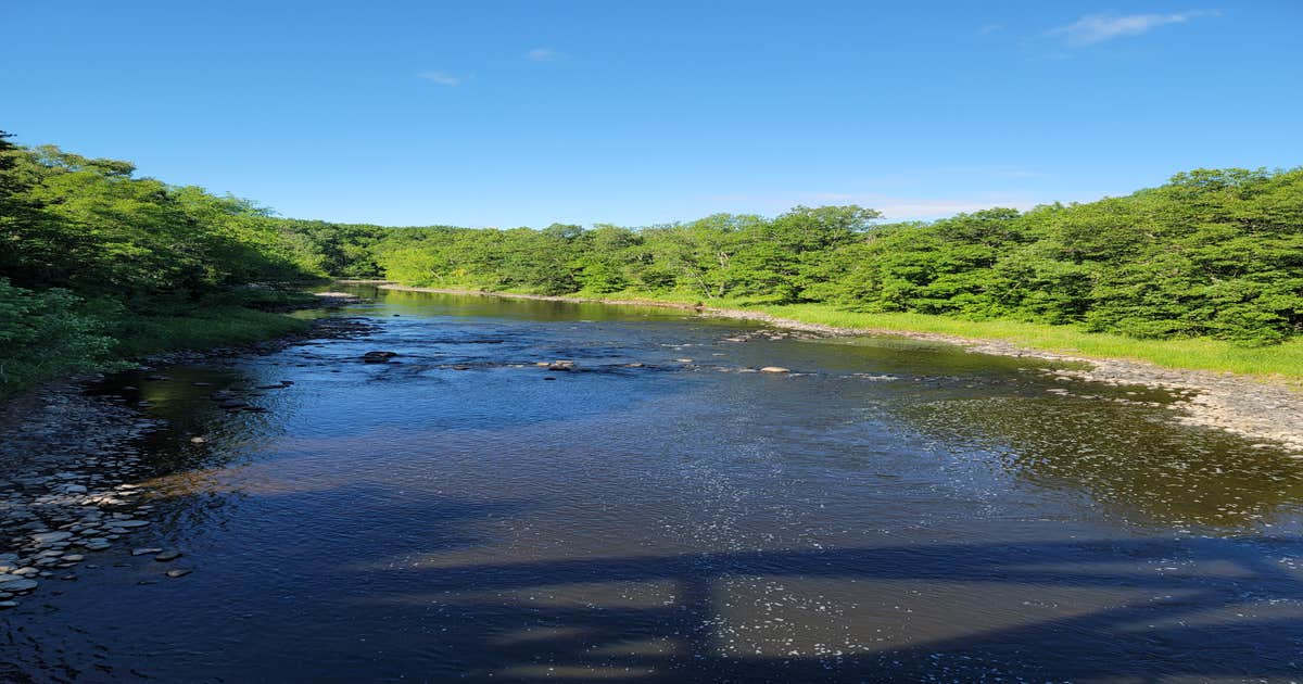 Snake River County Park Campground | Grantsburg, Wisconsin