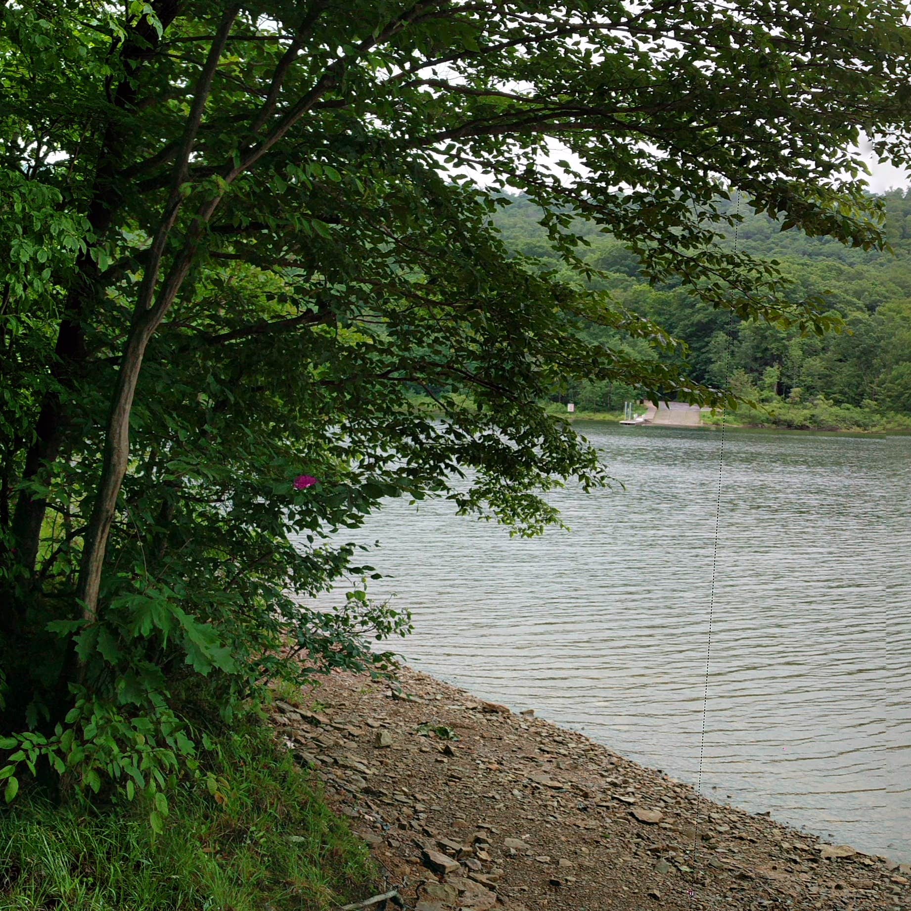 Red Bridge Recreation Area - Allegheny National Forest Camping | The Dyrt