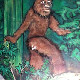 Larrabee State Park Camping | The Dyrt