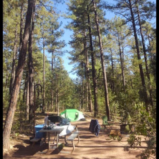 Sharp Creek Camping | Payson, AZ