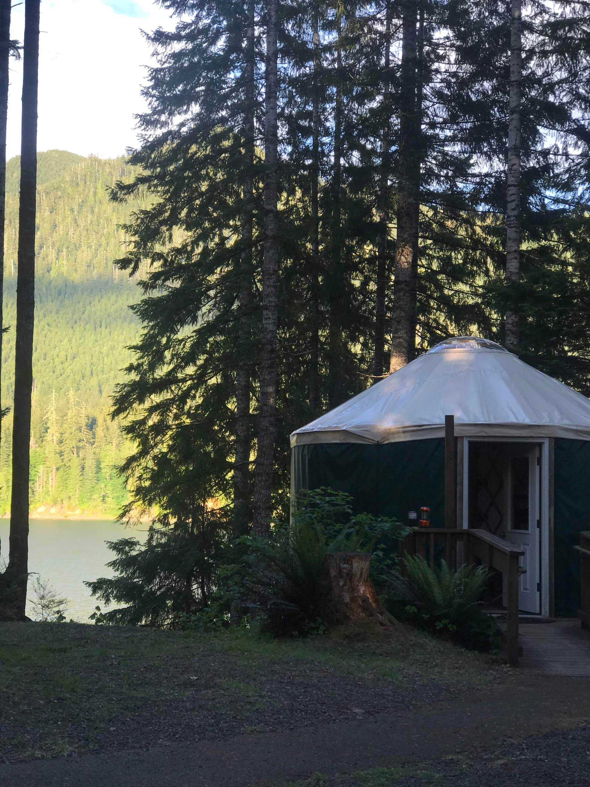 Wynoochee Lake Shore Trailhead - Coho Campground | The Dyrt