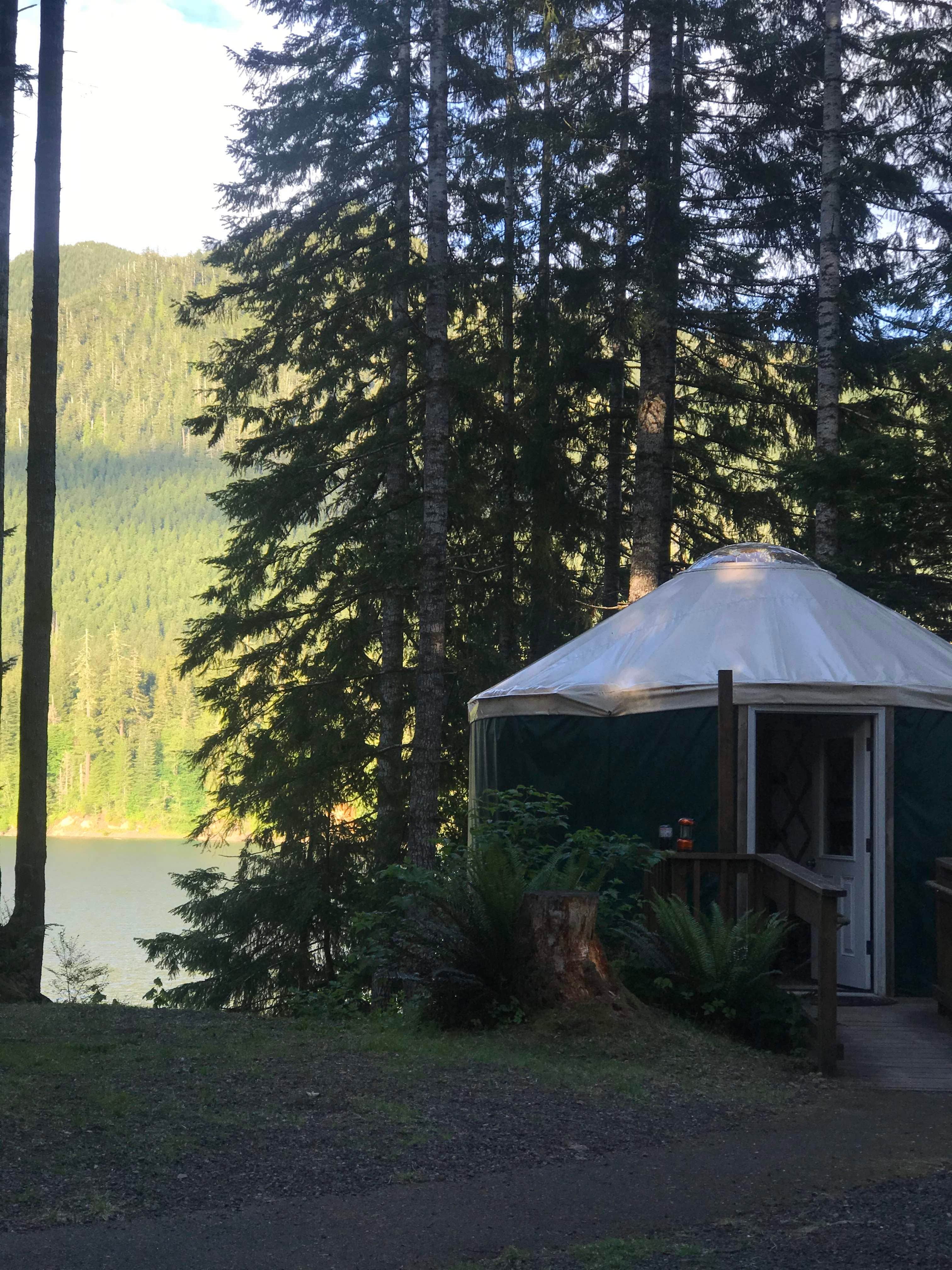Wynoochee Lake Shore Trailhead - Coho Campground | The Dyrt