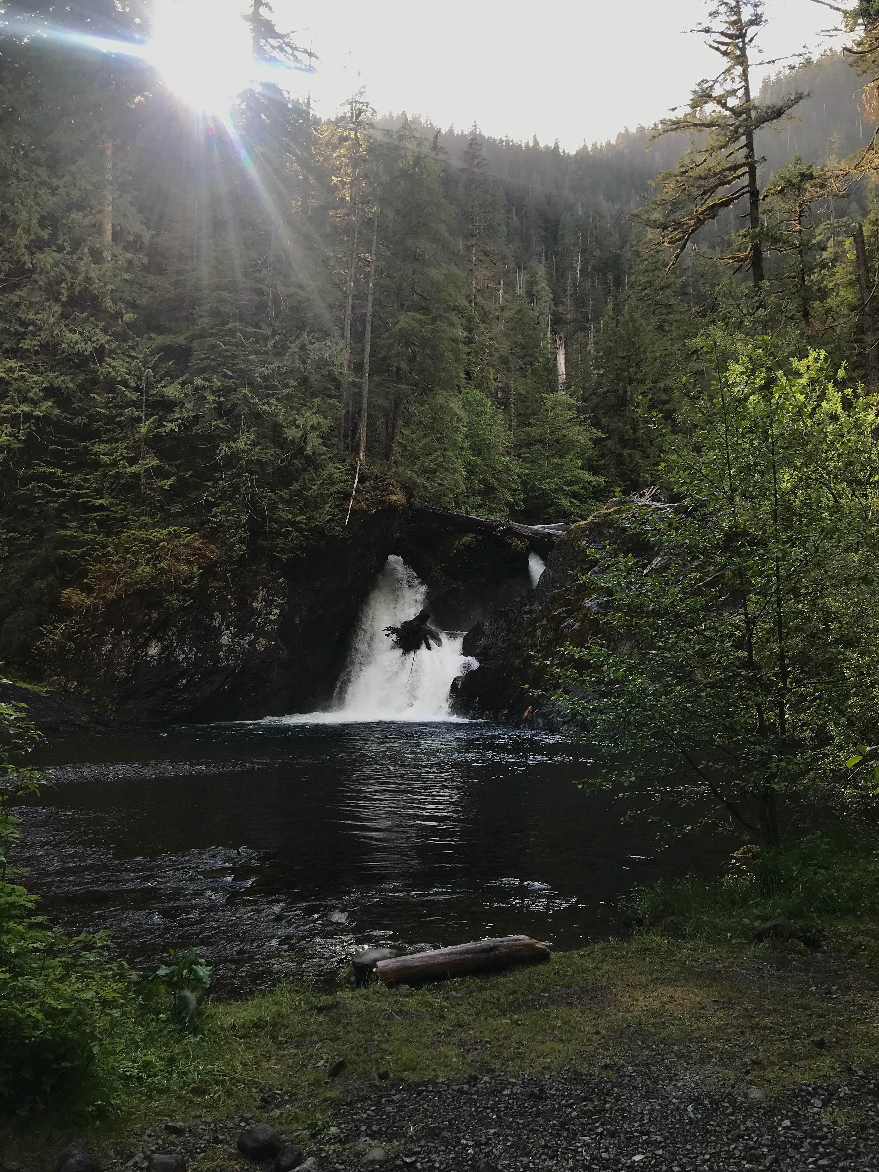 Wynoochee Lake Shore Trailhead - Coho Campground | The Dyrt