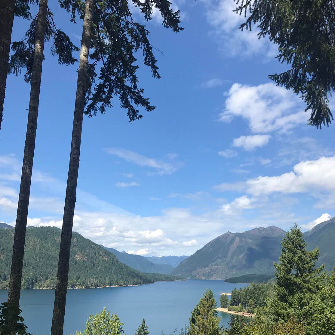 Skokomish Park at Lake Cushman Camping | Lilliwaup, Washington