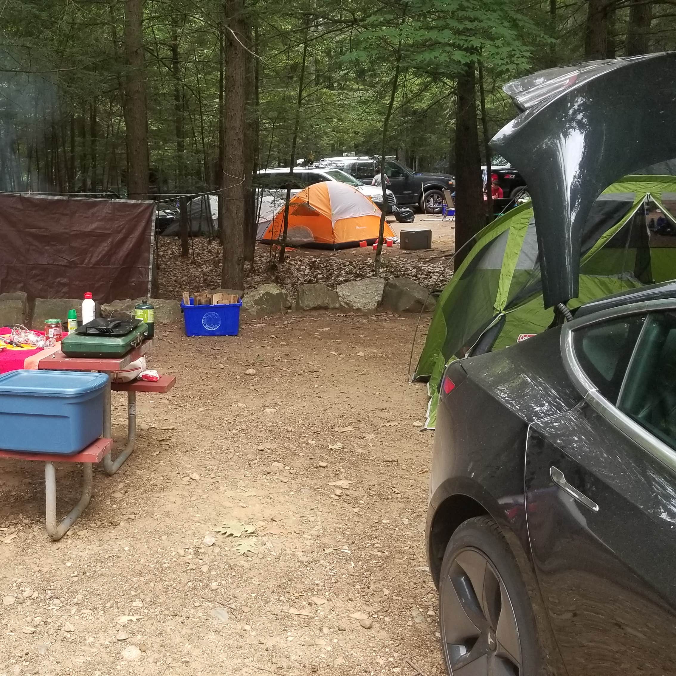 Friendly Beaver Campground | New Boston, New Hampshire
