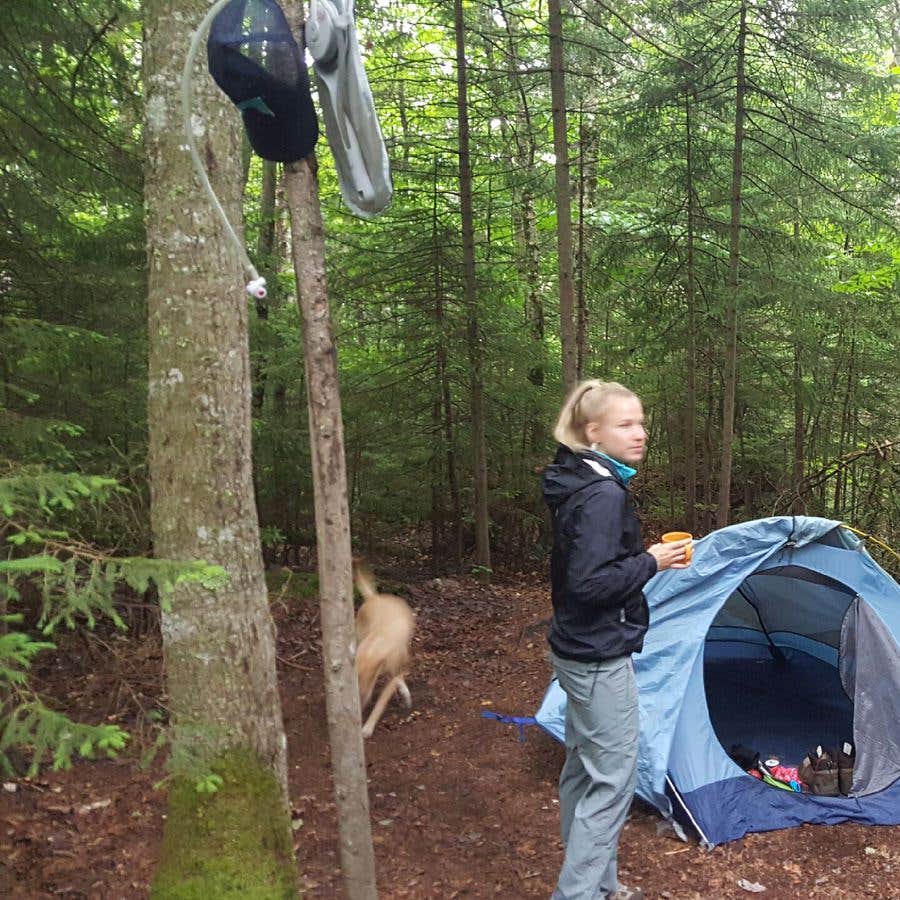 Grafton Loop Trail - Slide Campsite | Willimantic, Maine