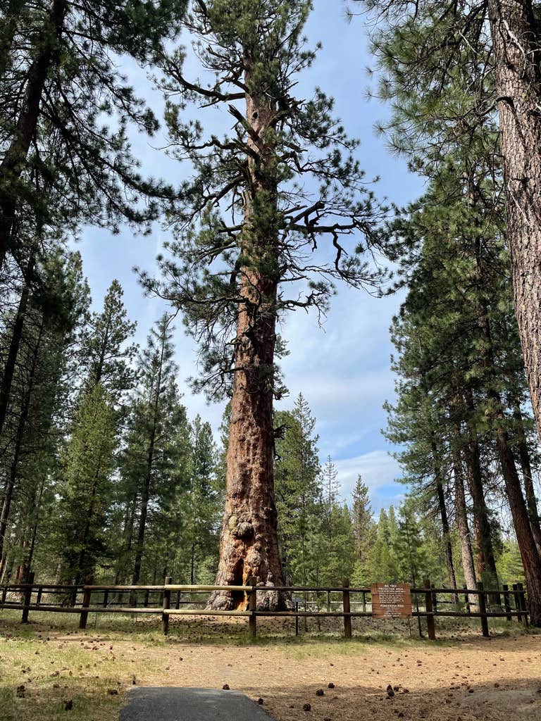 LaPine State Park | The Dyrt