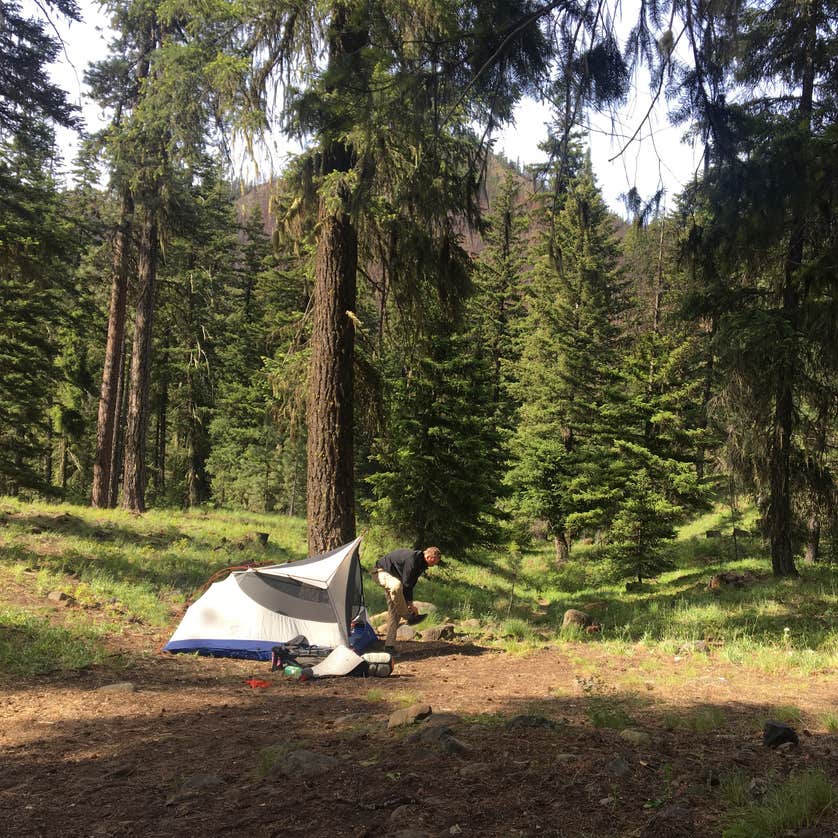 Teanaway Campground Camping | The Dyrt