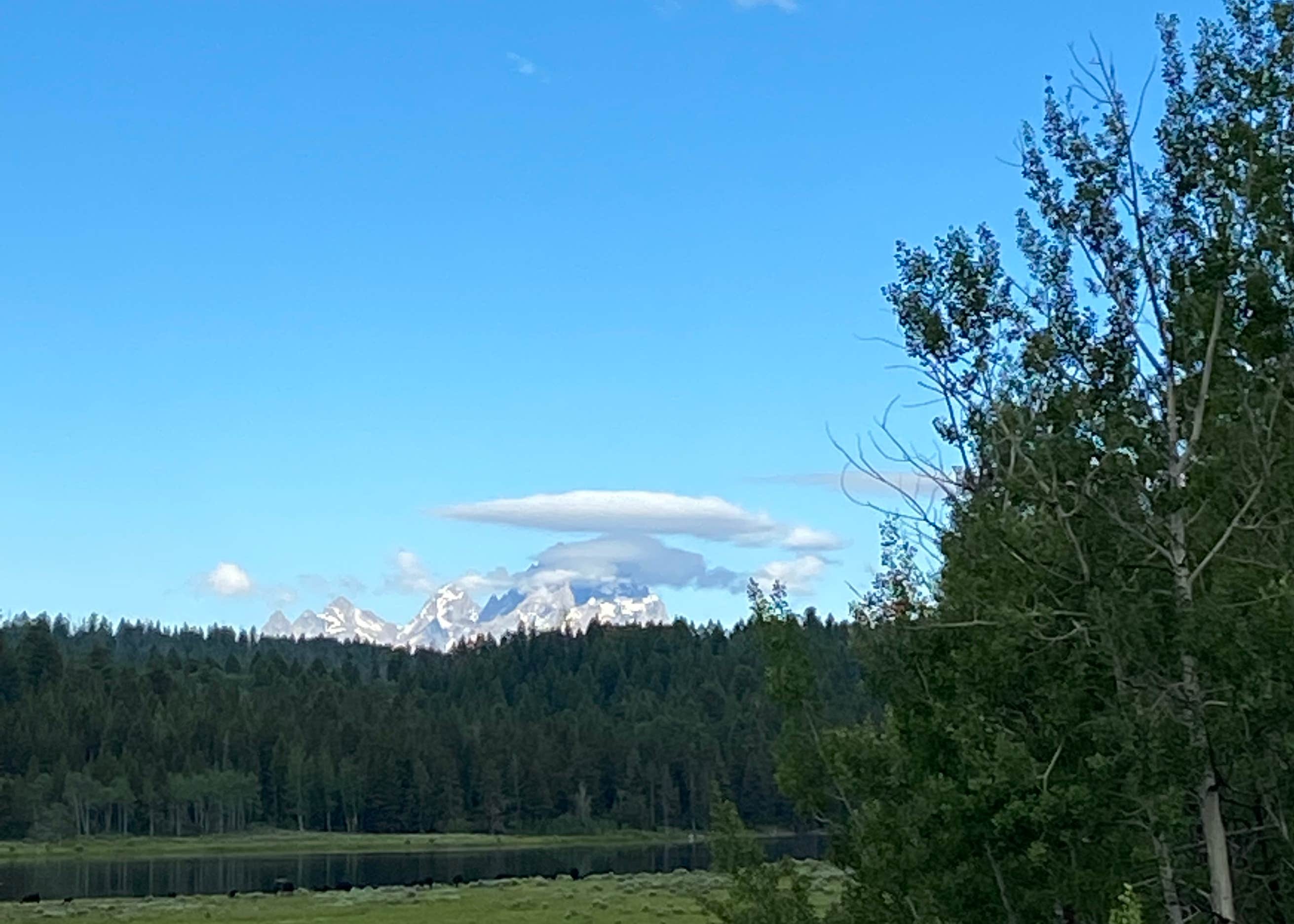 Turpin Meadows Campground Camping | The Dyrt