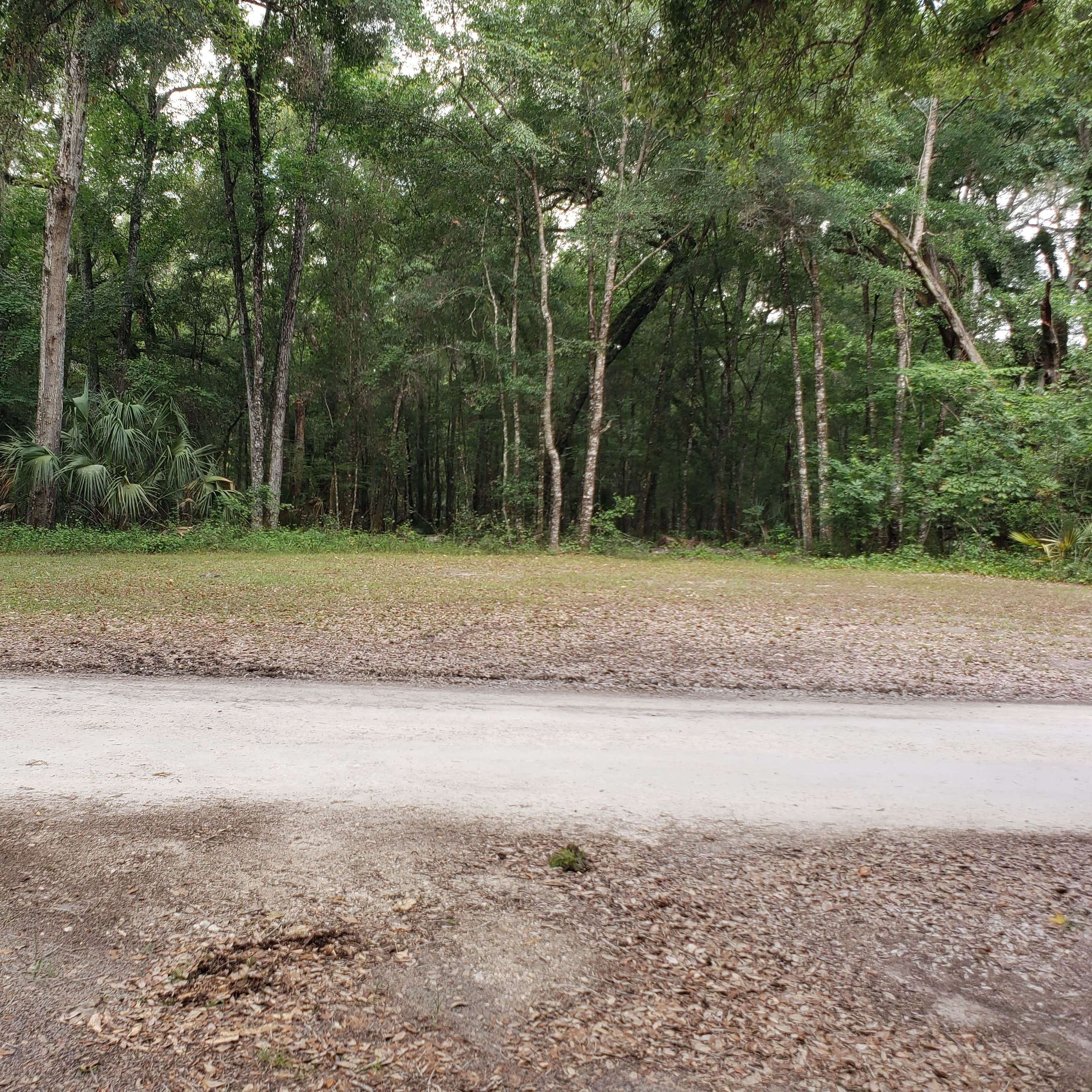 Hog Island Recreation Area Camping | Nobleton, Florida