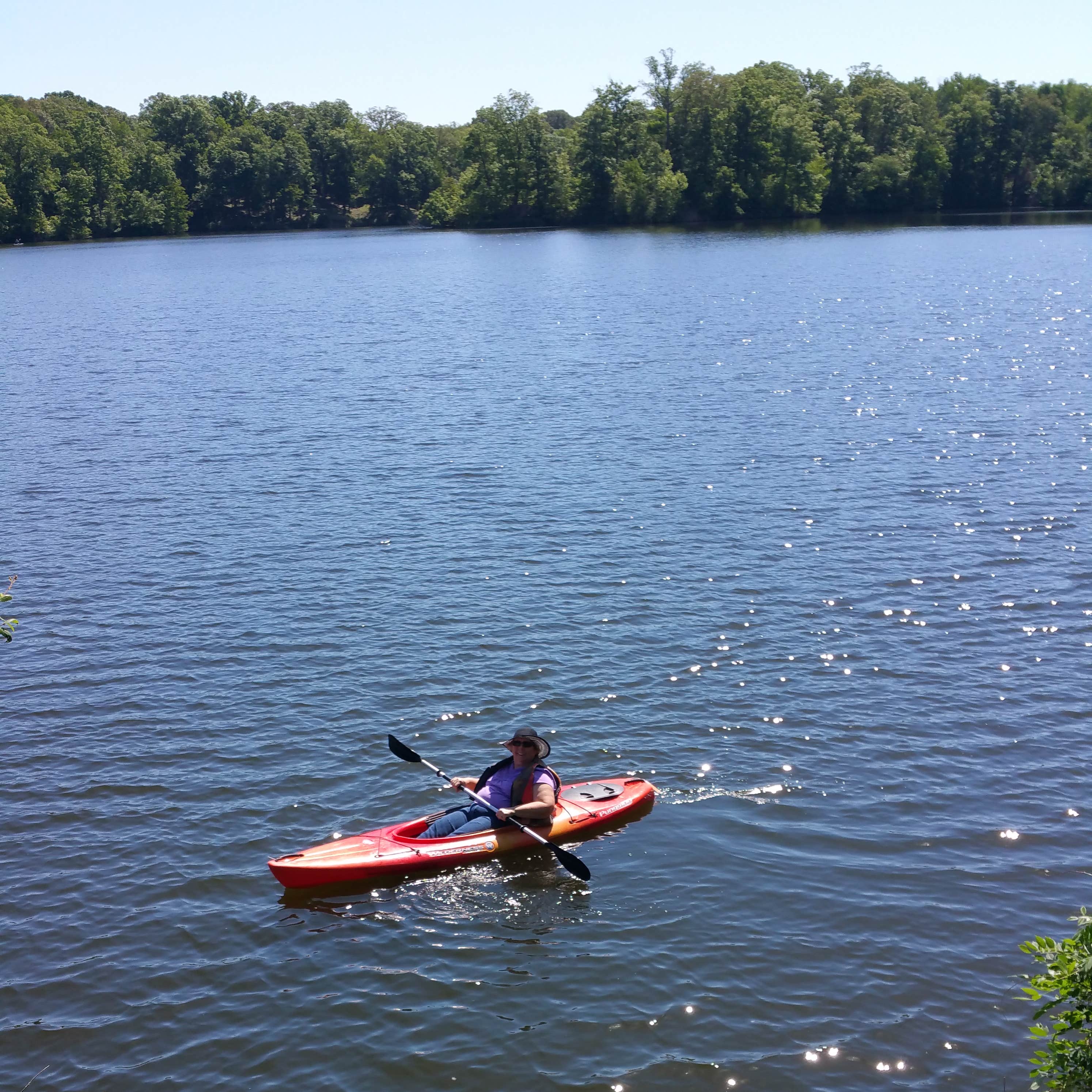 Mississippi River State Park Camping | The Dyrt